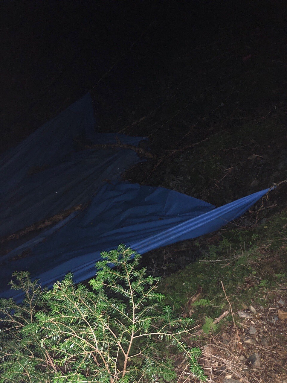 SACHIKO.さんの投稿したフィールドメモ | YAMAP / ヤマップ