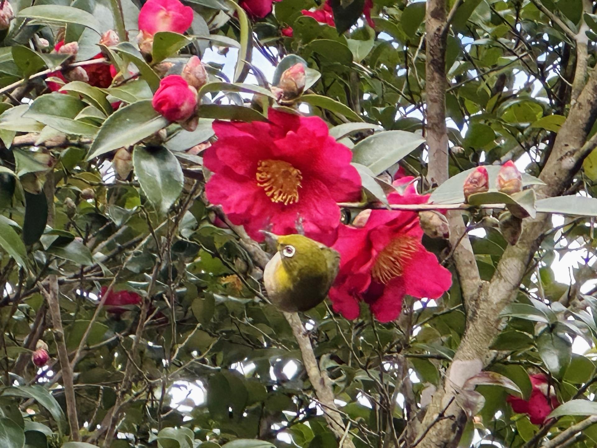 一井木山・黒岩山・水上山・契山・基山 / yukaさんの天拝山・基山の活動データ | YAMAP / ヤマップ