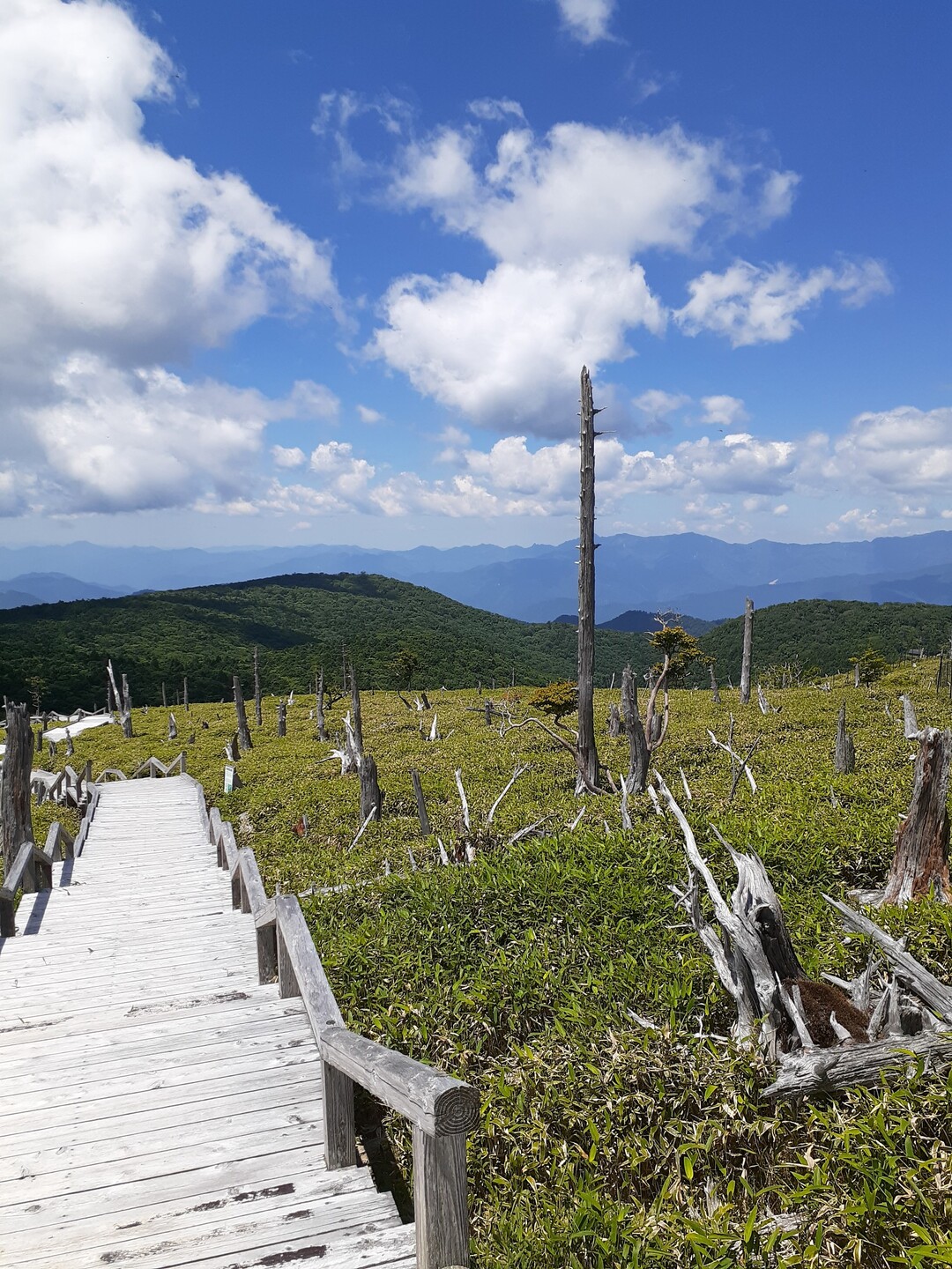 大台ヶ原 / TERUさんの大台ヶ原山・日出ヶ岳・大杉谷の活動データ | YAMAP / ヤマップ