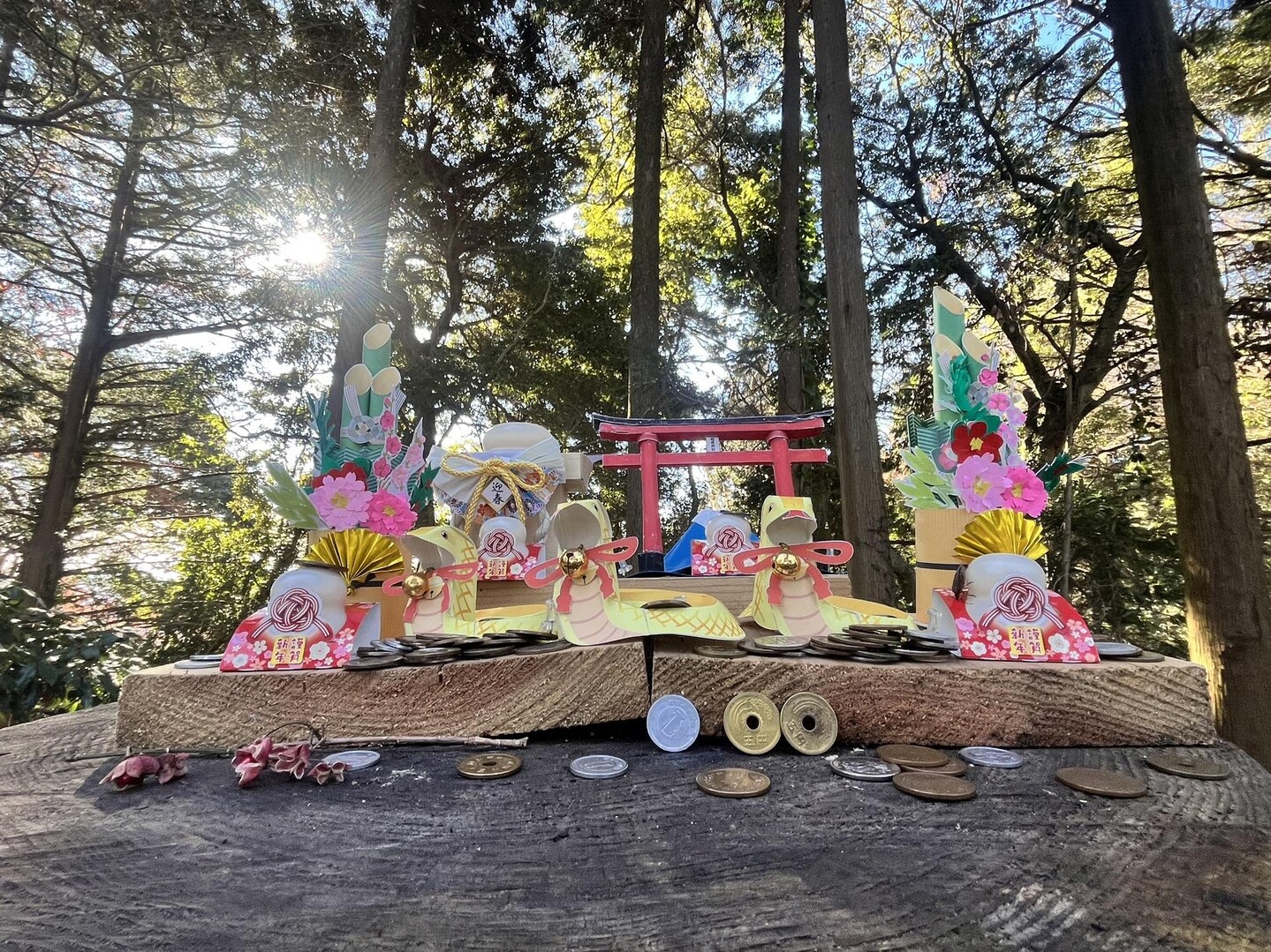 高尾山・神変山へ🐾 / hachacha-umemeさんの高尾山・陣馬山・景信山の活動データ | YAMAP / ヤマップ