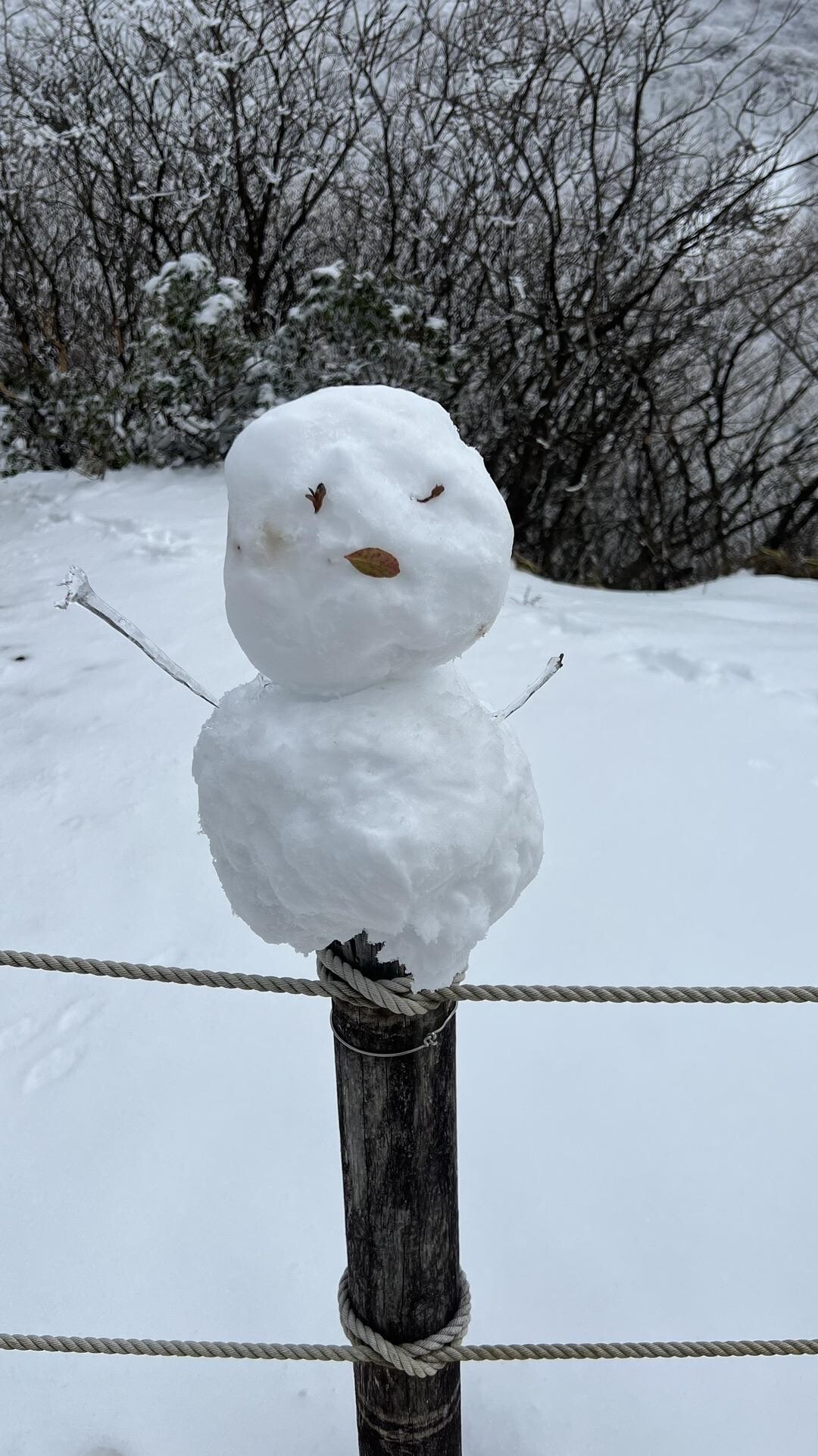 雪のくじゅう ️ 沓掛山・中岳・久住山 / EMさんの九重山（久住山）・大船山・星生山の活動データ | YAMAP / ヤマップ