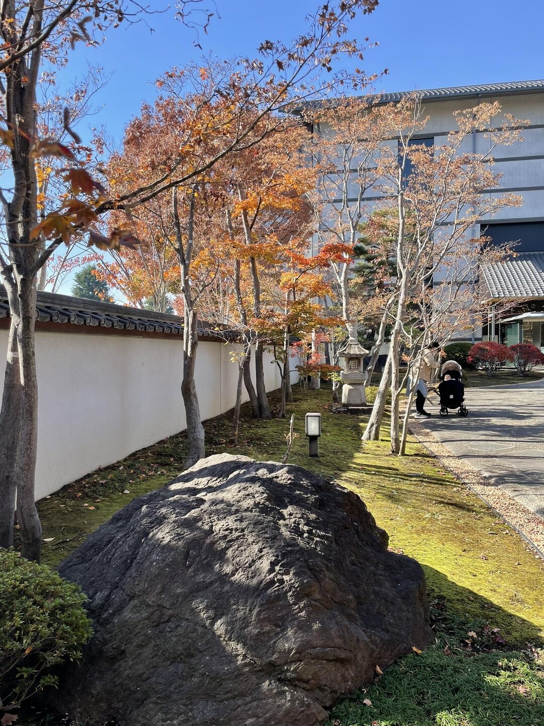 2023 11月16日 長野市若里 冬... / インコさんのモーメント | YAMAP / ヤマップ