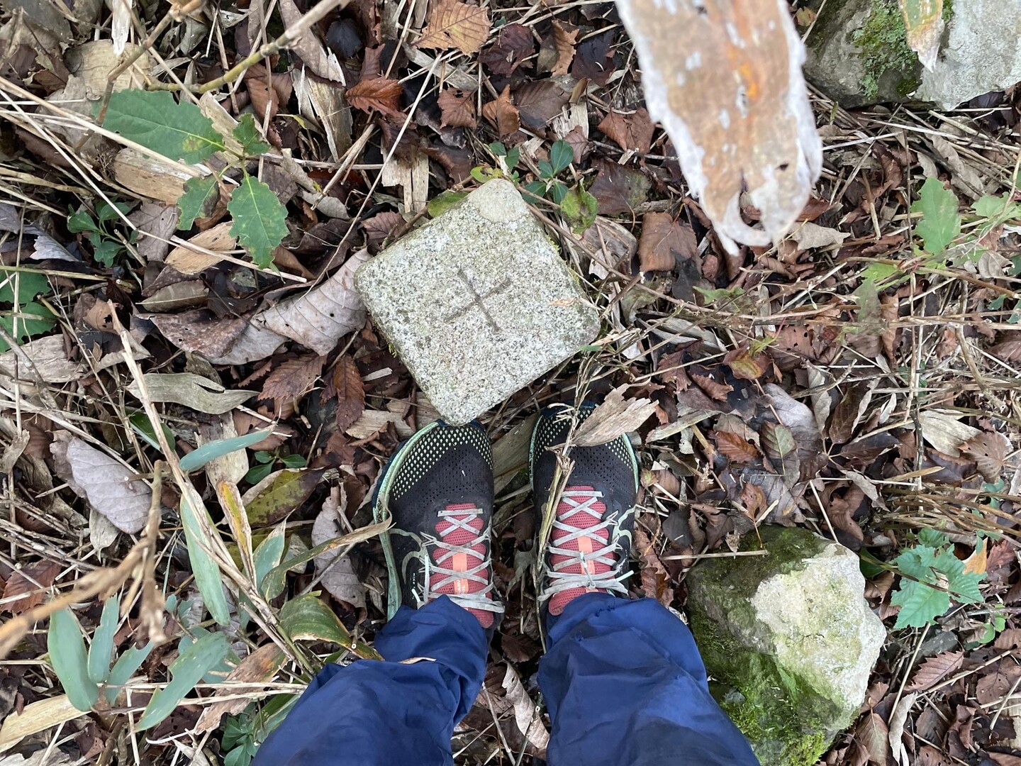 幌扶斯山(ほろぷすさん)豊浦町 / 島ちゃん(島.RC)🌈さんの礼文華峠の活動データ | YAMAP / ヤマップ