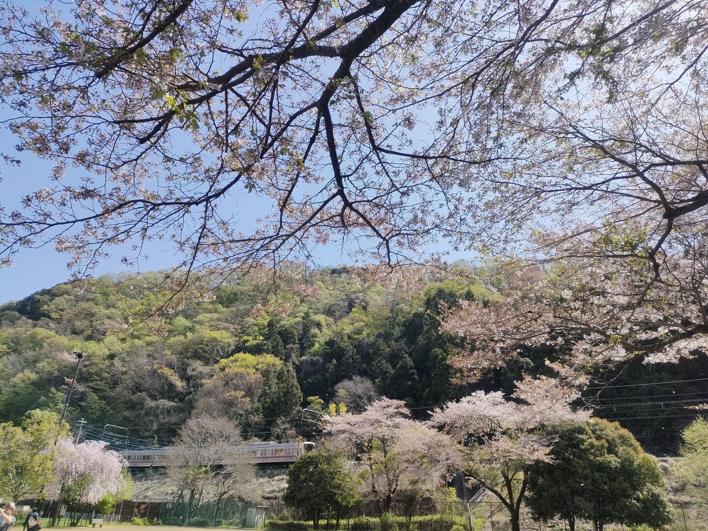 初めてのトレラン / Mt.Marioさんの高尾山・陣馬山・景信山の活動データ | YAMAP / ヤマップ
