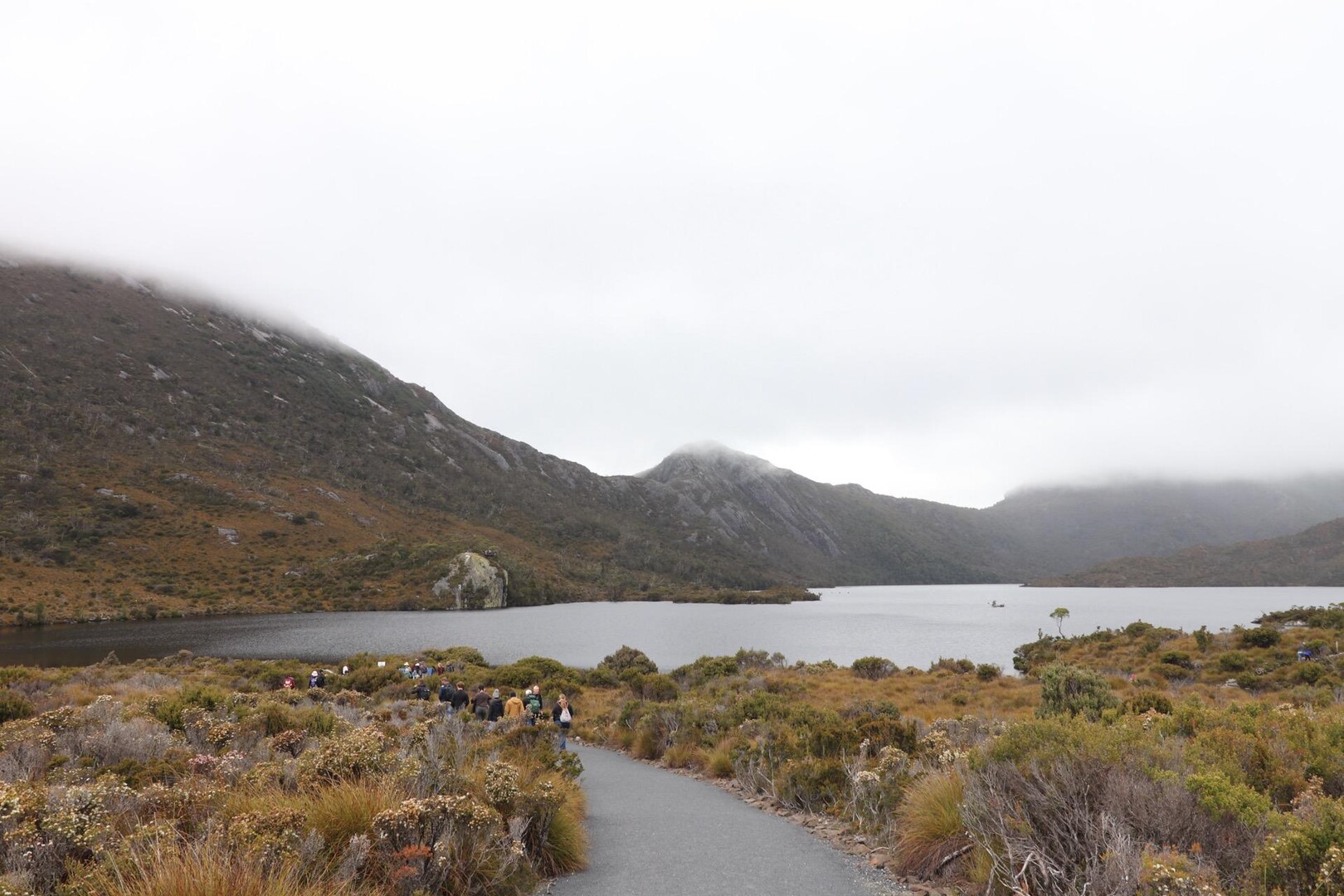 Cradle Mountain / Daisukeさんのウォーキングの活動データ | YAMAP / ヤマップ