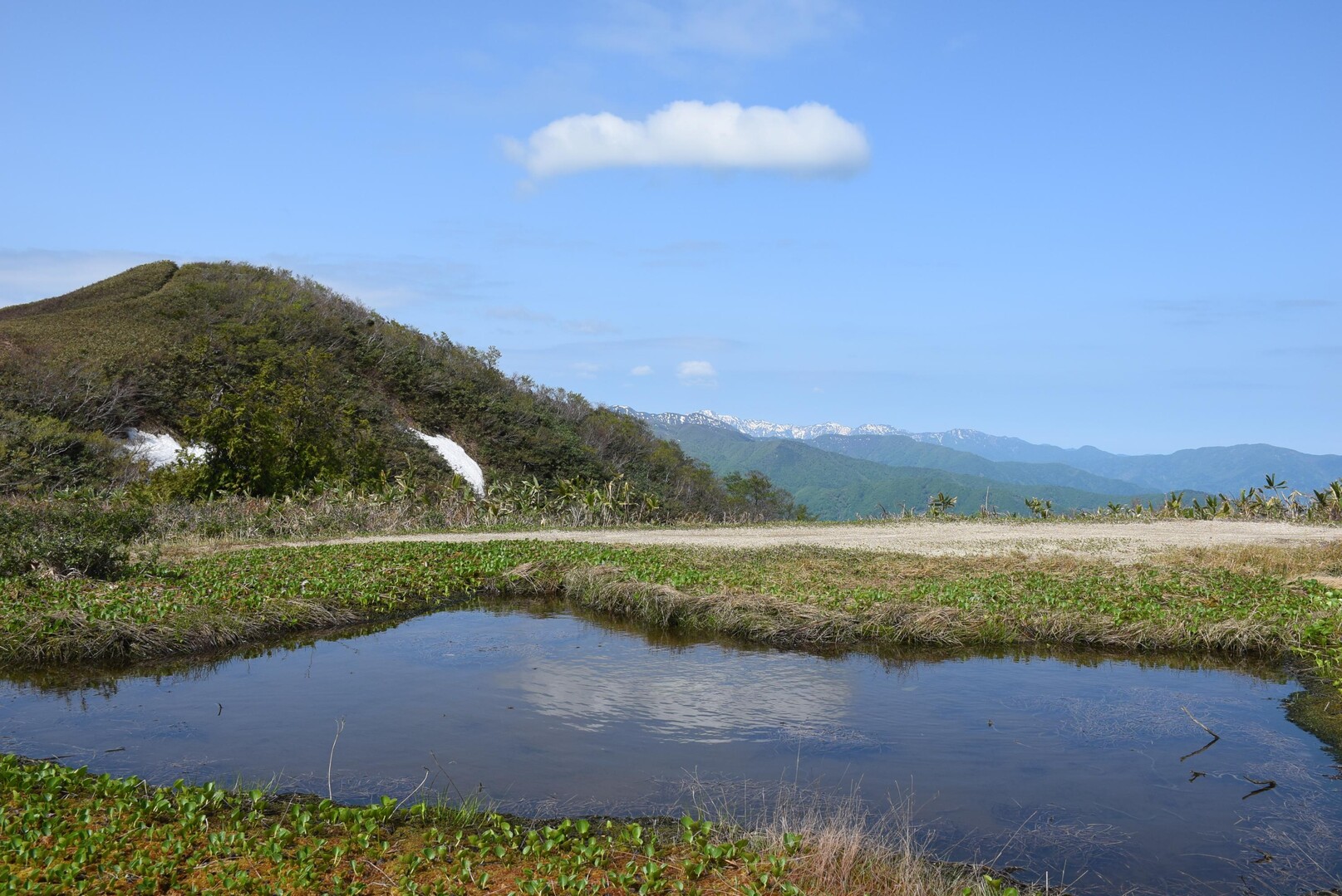 金剛堂山。 / ritchさんの金剛堂山の活動データ | YAMAP / ヤマップ