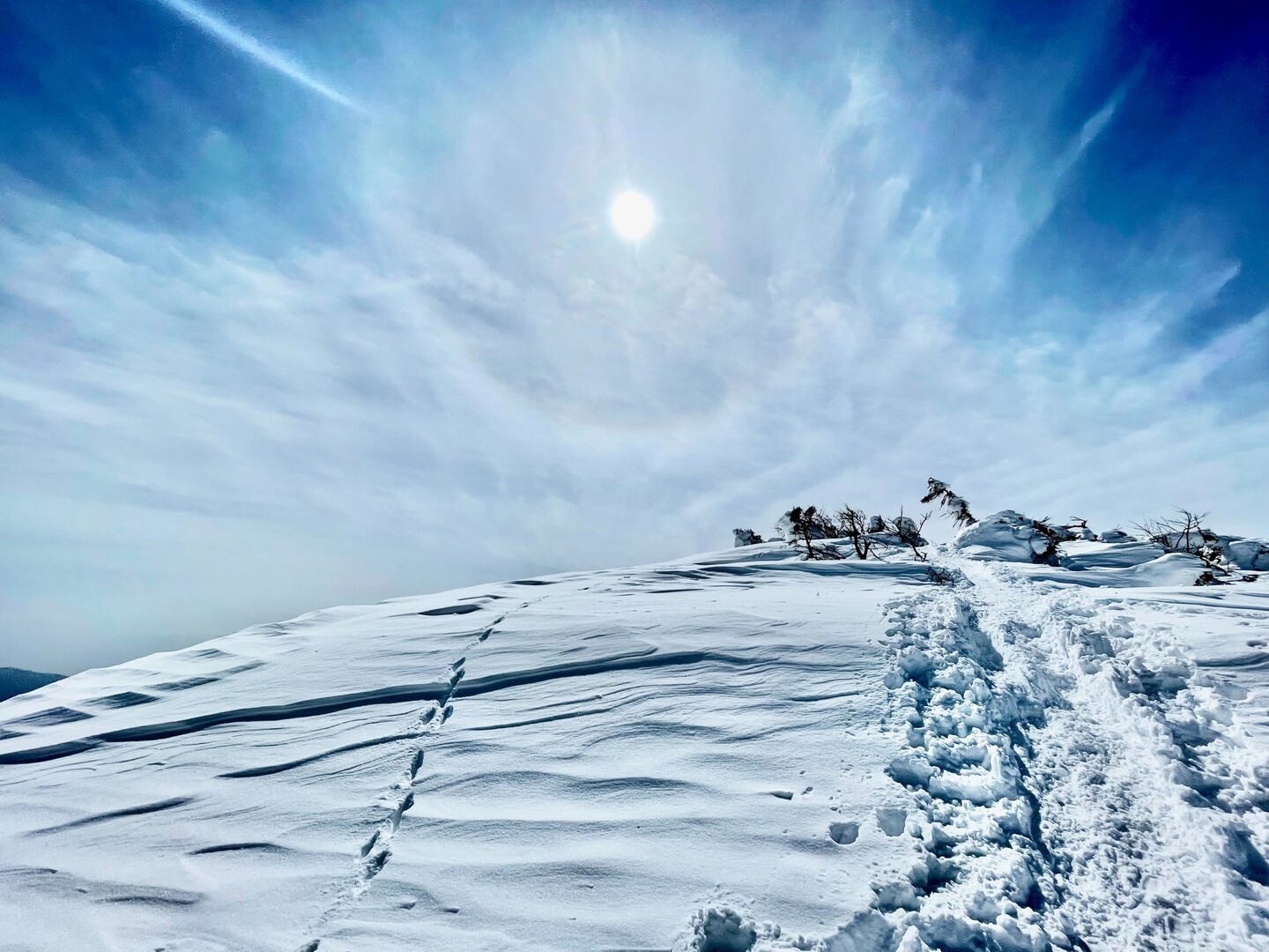 上を向いて歩こう 素晴らしい空が 広がっ... / HIRO88さんのモーメント | YAMAP / ヤマップ