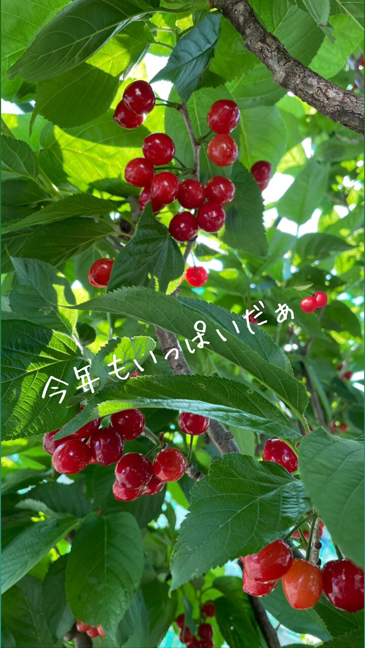 お天気イイけど日頃睡眠不足なのでGWを前... / とも蔵さんのモーメント | YAMAP / ヤマップ