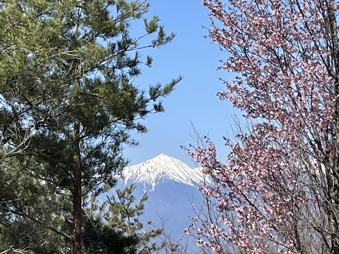 富士塚山 / moroさんの鉢伏山・高ボッチ山・三峰山の活動データ | YAMAP / ヤマップ