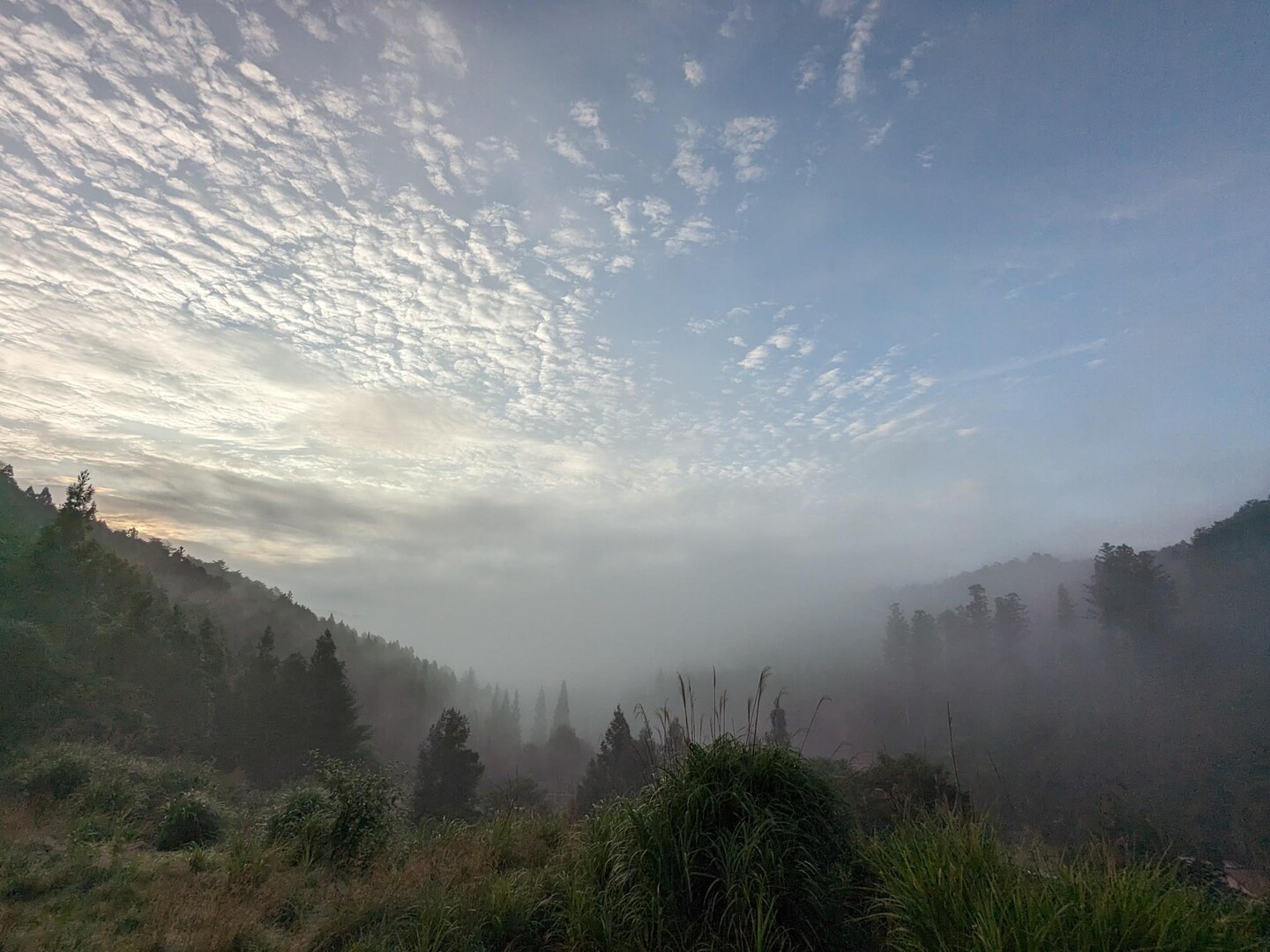 愛知県豊根村へGO🚙💨 朝一は近くを... / おてつまんさんのモーメント | YAMAP / ヤマップ