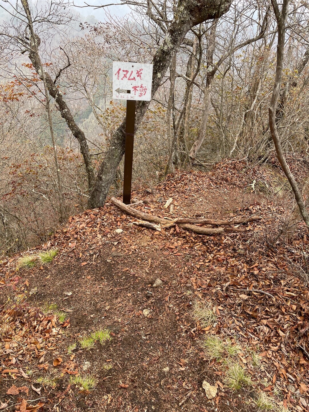 Shinoさんの投稿したフィールドメモ | YAMAP / ヤマップ