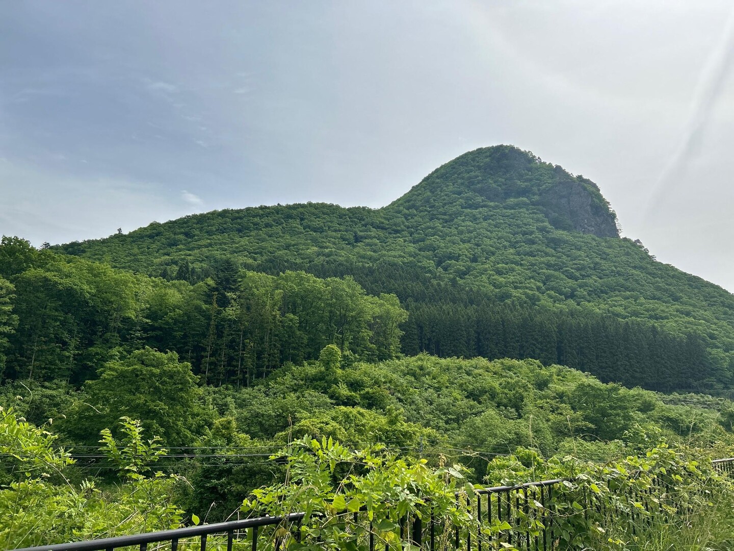 鎌倉山 / HKさんの鎌倉山の活動データ | YAMAP / ヤマップ