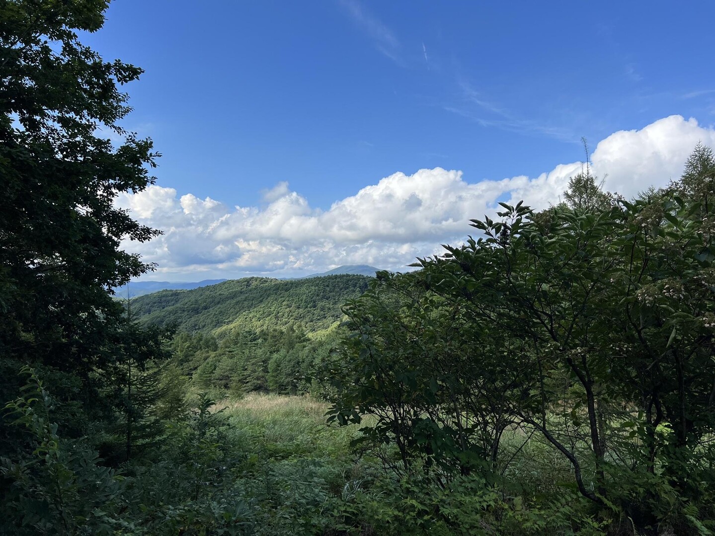 宝境山 / papaさんの室根山の活動データ | YAMAP / ヤマップ