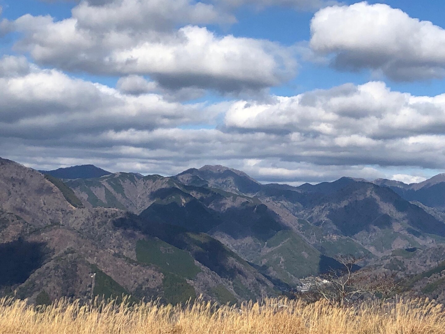 大野山 / miniさんの高松山・大野山の活動データ | YAMAP / ヤマップ