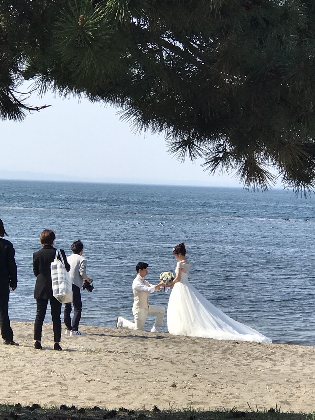 花見🌸散歩してたら😳 ウエディング ... / SHOさんのモーメント | YAMAP / ヤマップ