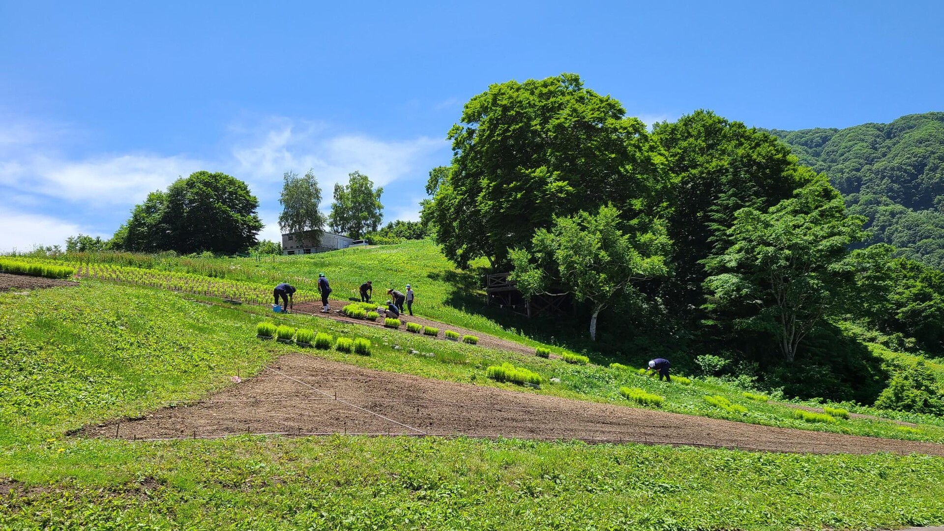 湯沢高原 アルプの里 ロープウェーで標高... / ポール女子さおりさんのモーメント | YAMAP / ヤマップ