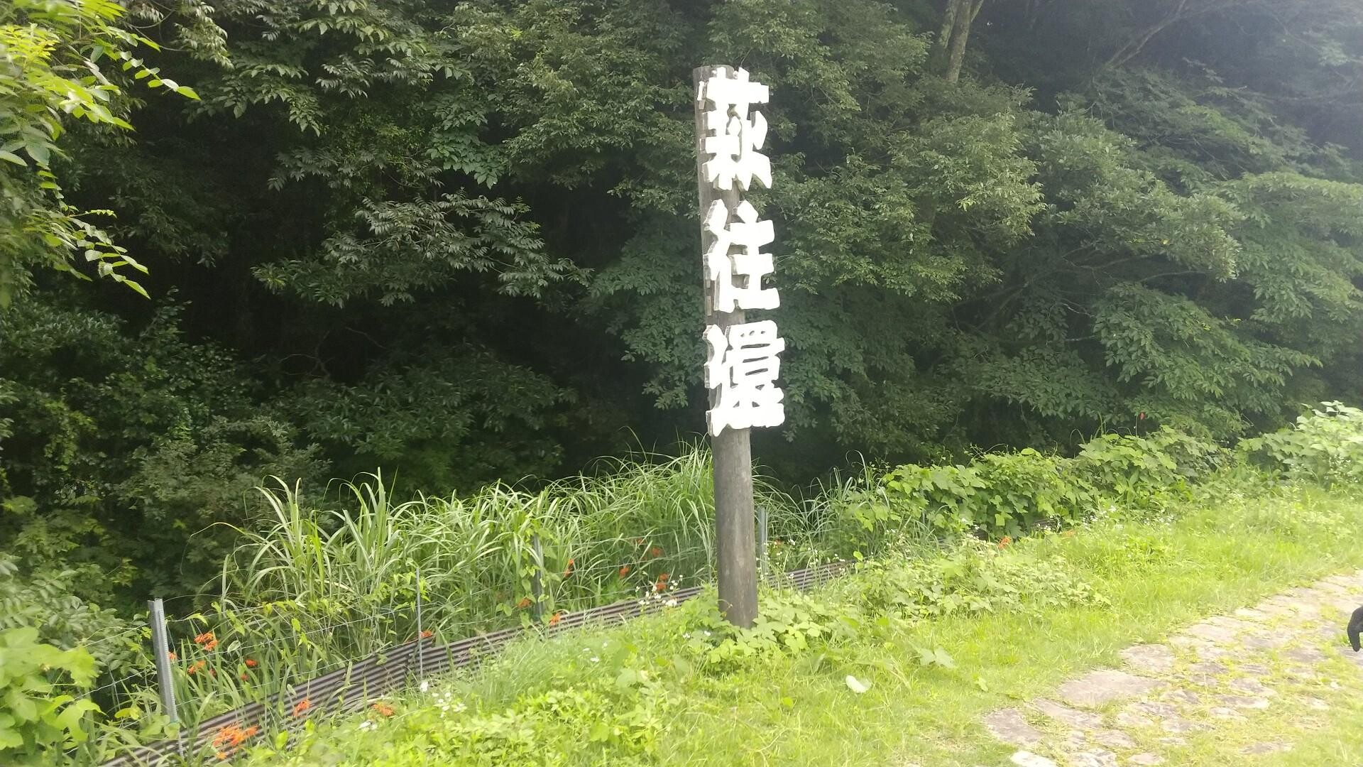 7/16 やまぐち萩往還マラニック＆ウォークの33kmウォーク🚶 / けいぞうさんの萩往還その1（萩市〜佐々並市）の活動日記 | YAMAP / ヤマップ