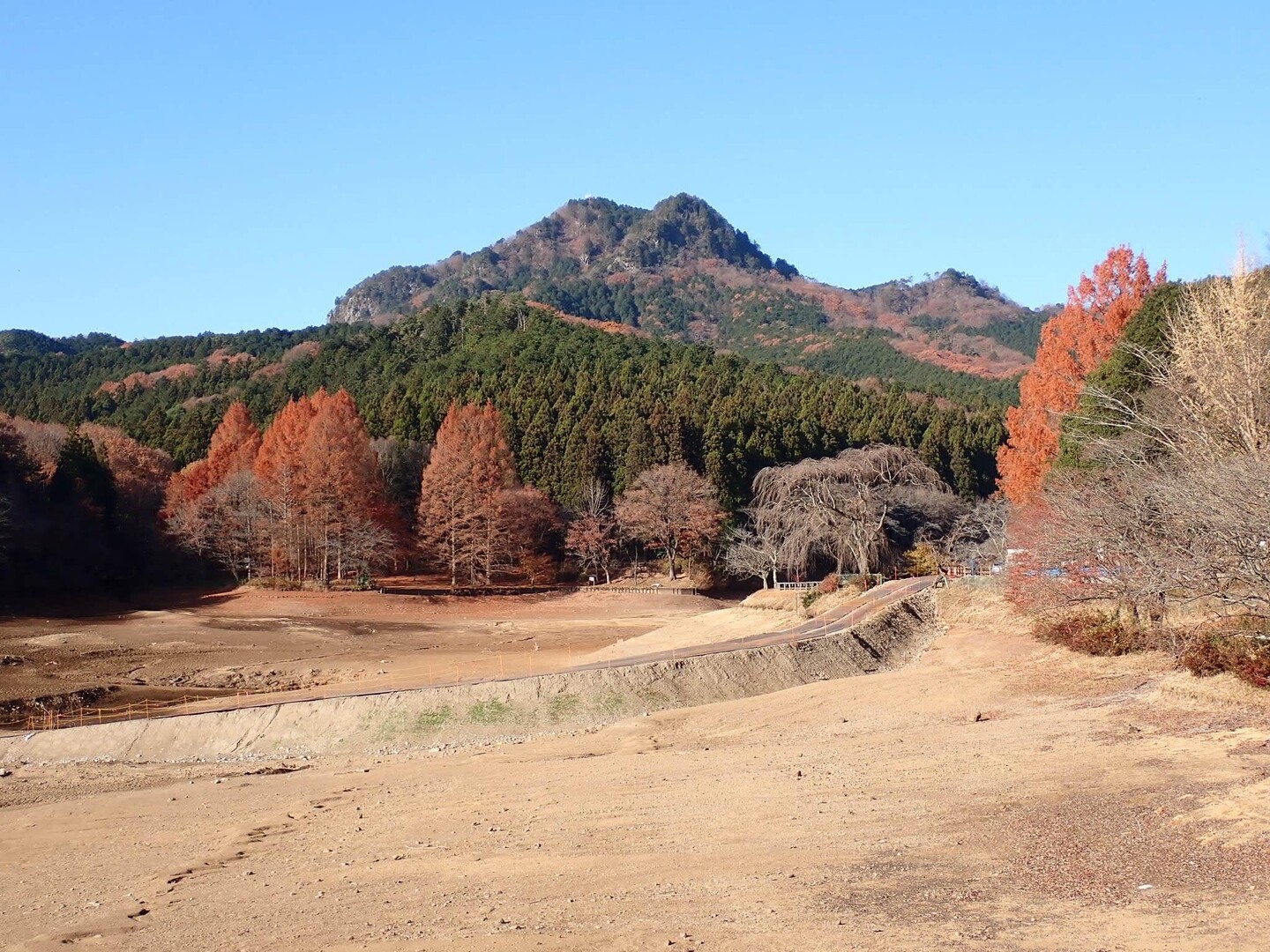 秋色の古賀志山へ⛰️🍁 / reoさんの古賀志山・赤岩山・鞍掛山・男抱山・半蔵山の活動データ | YAMAP / ヤマップ