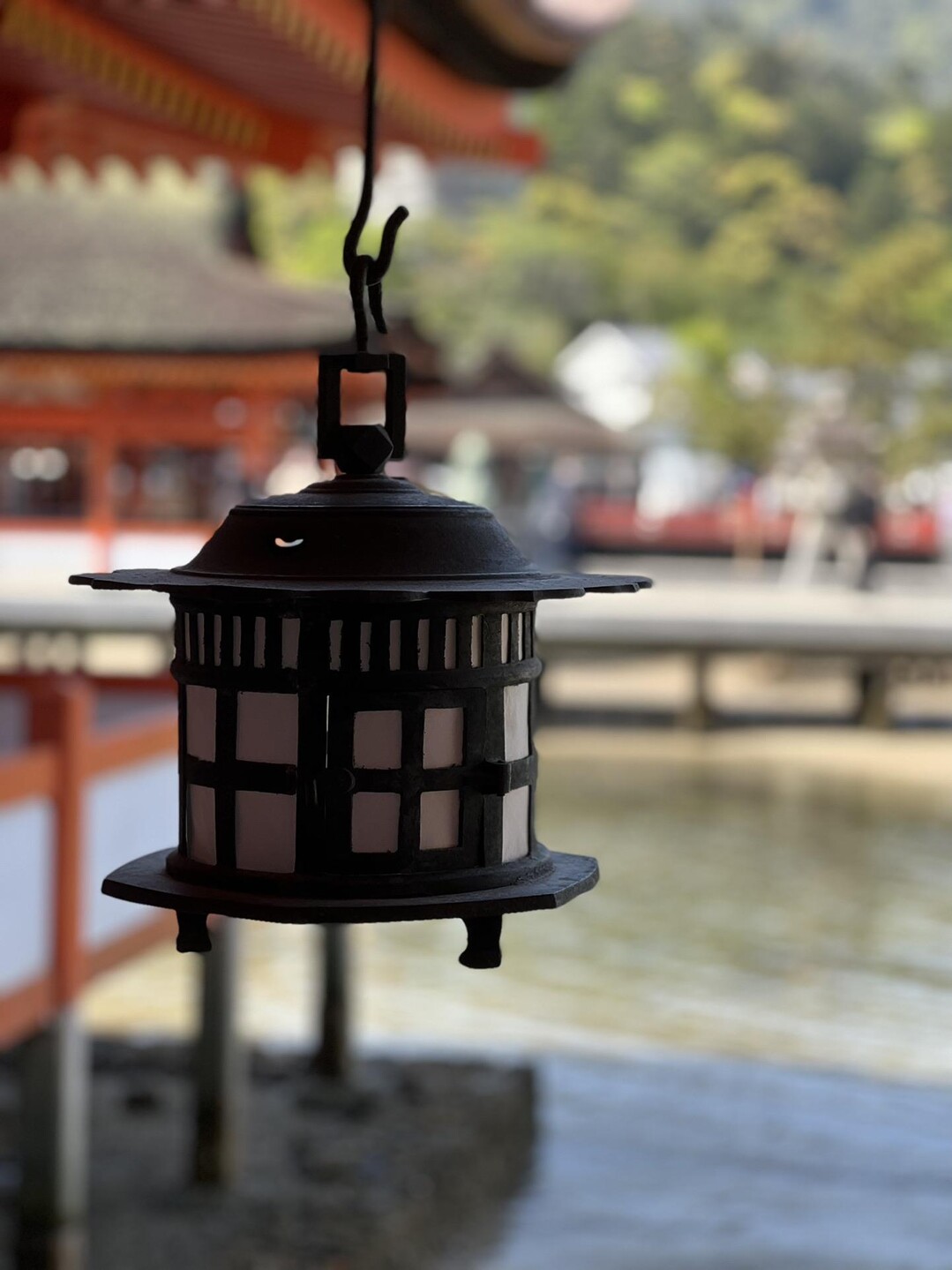 安芸の宮島・弥山 / shuuu54さんの宮島（厳島）・弥山の活動データ | YAMAP / ヤマップ