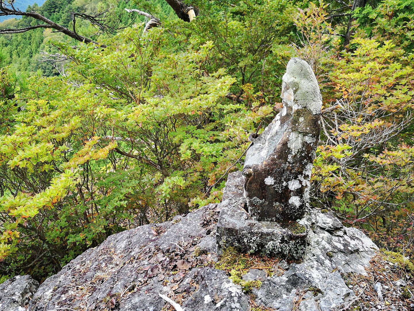 常光寺山 「修験道」 ～第6のルート / bardaisukeさんの常光寺山の活動データ | YAMAP / ヤマップ