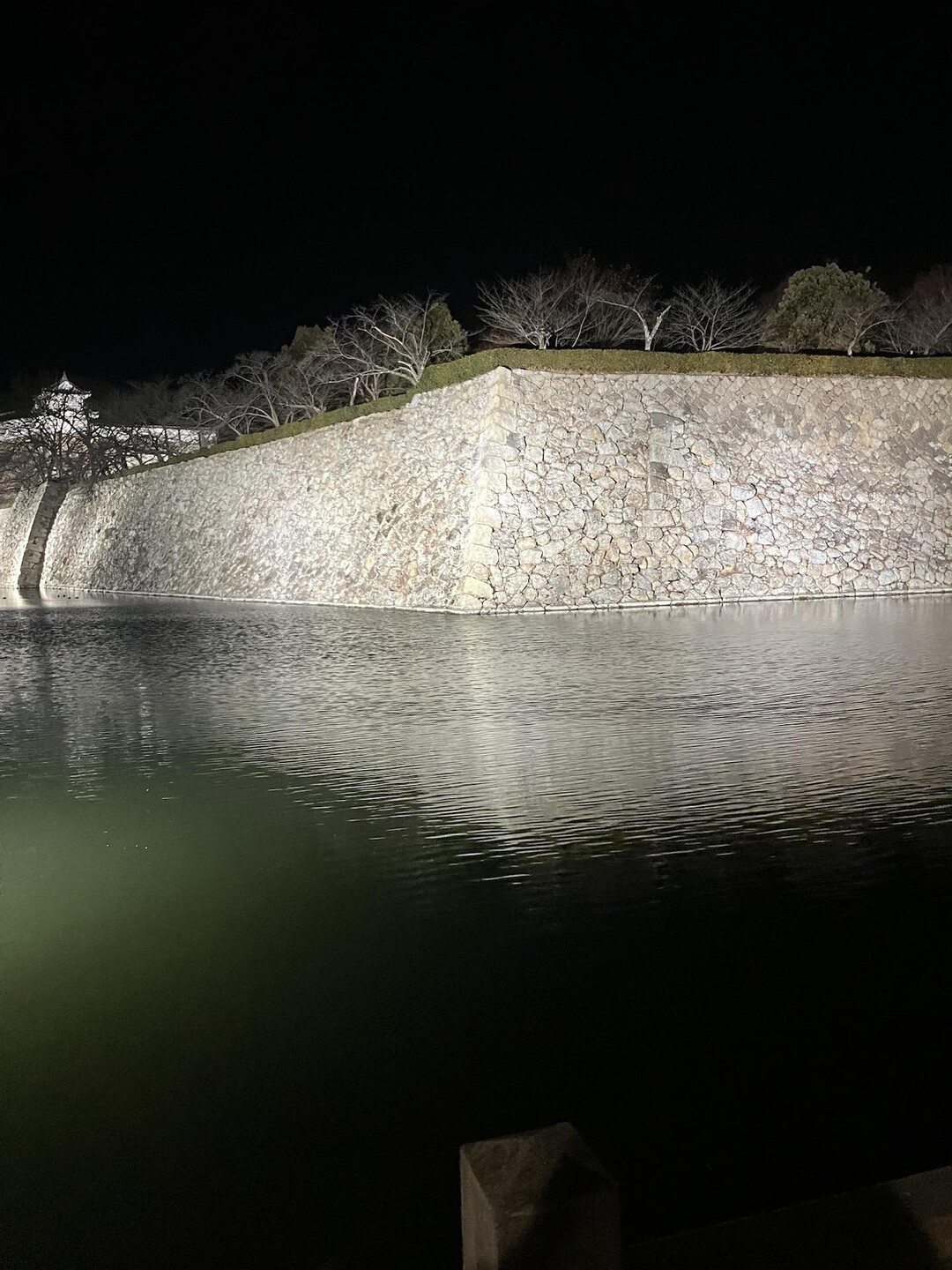 国宝集めて海賊王にオレはなる🏴‍☠️ / totoさんのモーメント | YAMAP / ヤマップ
