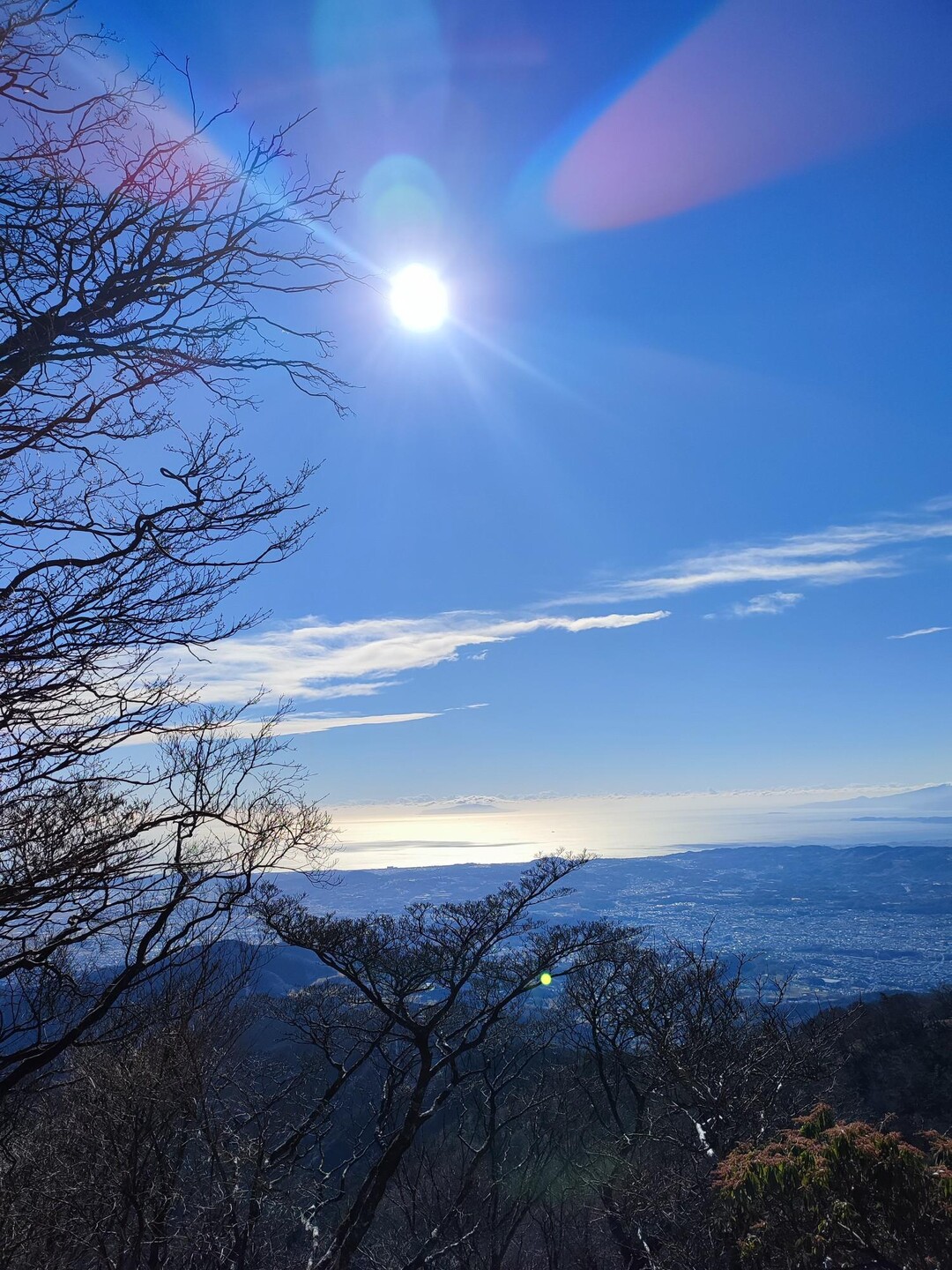 大山 / hime♪さんの大山の活動データ | YAMAP / ヤマップ