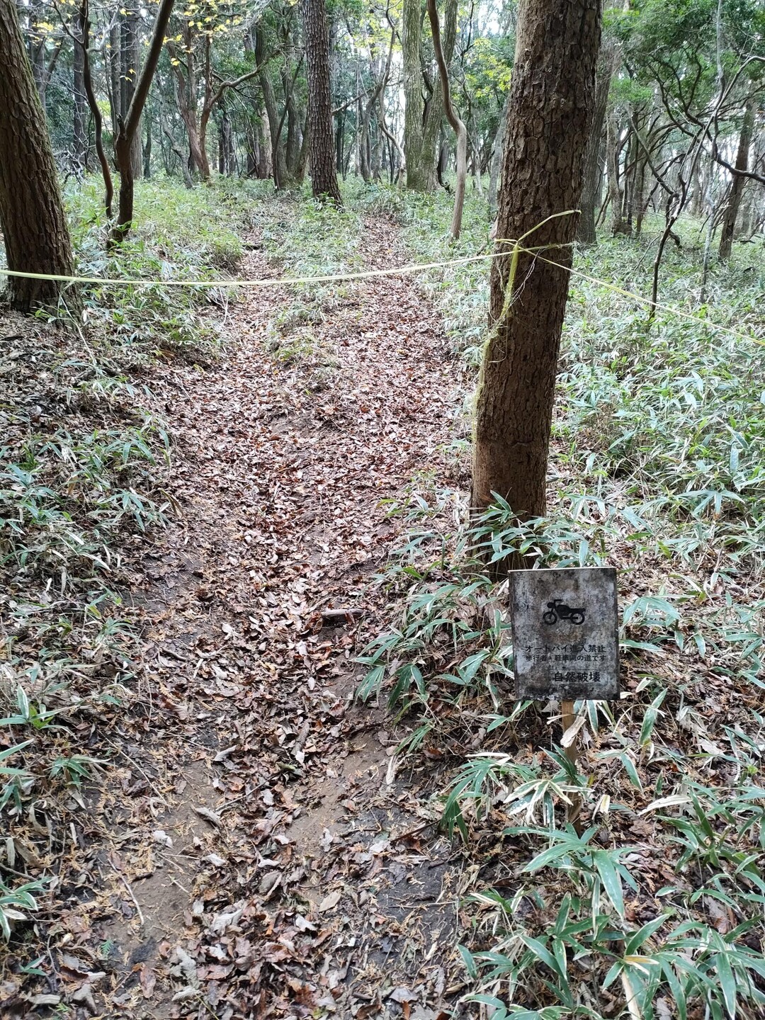 miyaさんの投稿したフィールドメモ | YAMAP / ヤマップ