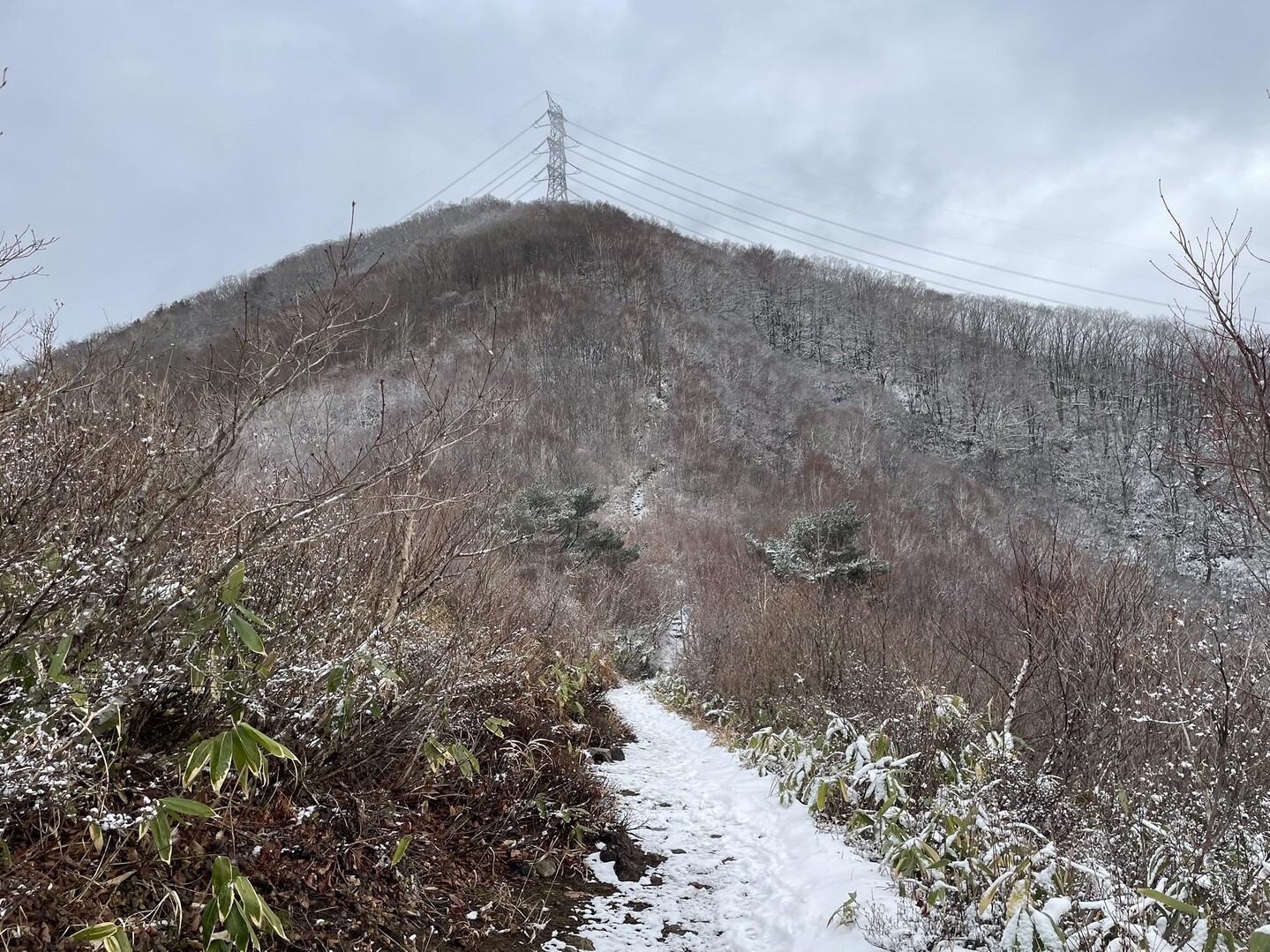平標山途中撤退 / serickさんの仙ノ倉山・平標山・大源太山の活動データ | YAMAP / ヤマップ