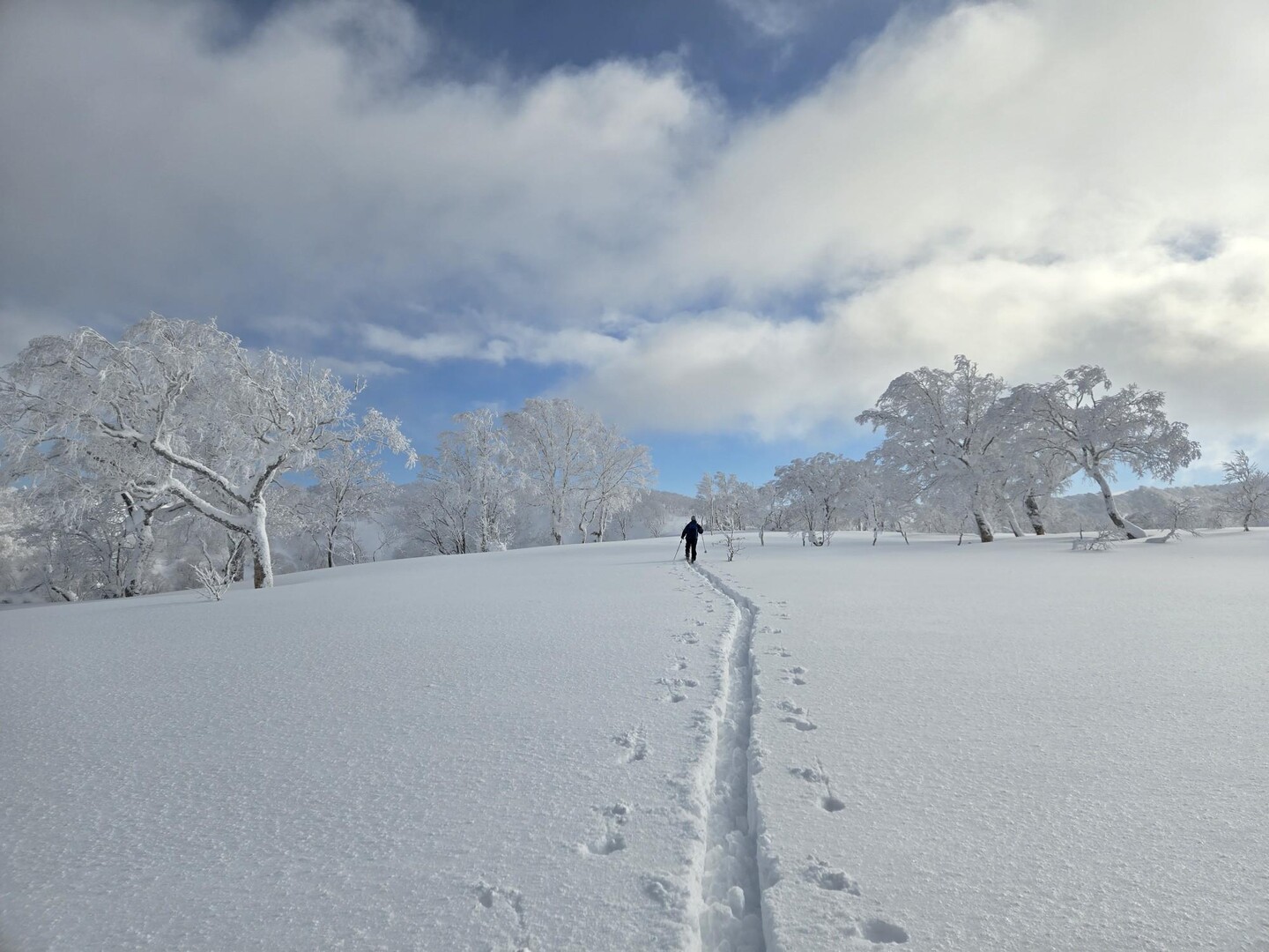 無意根山-2024-12-28 / korinoieさんの無意根山の活動データ | YAMAP / ヤマップ