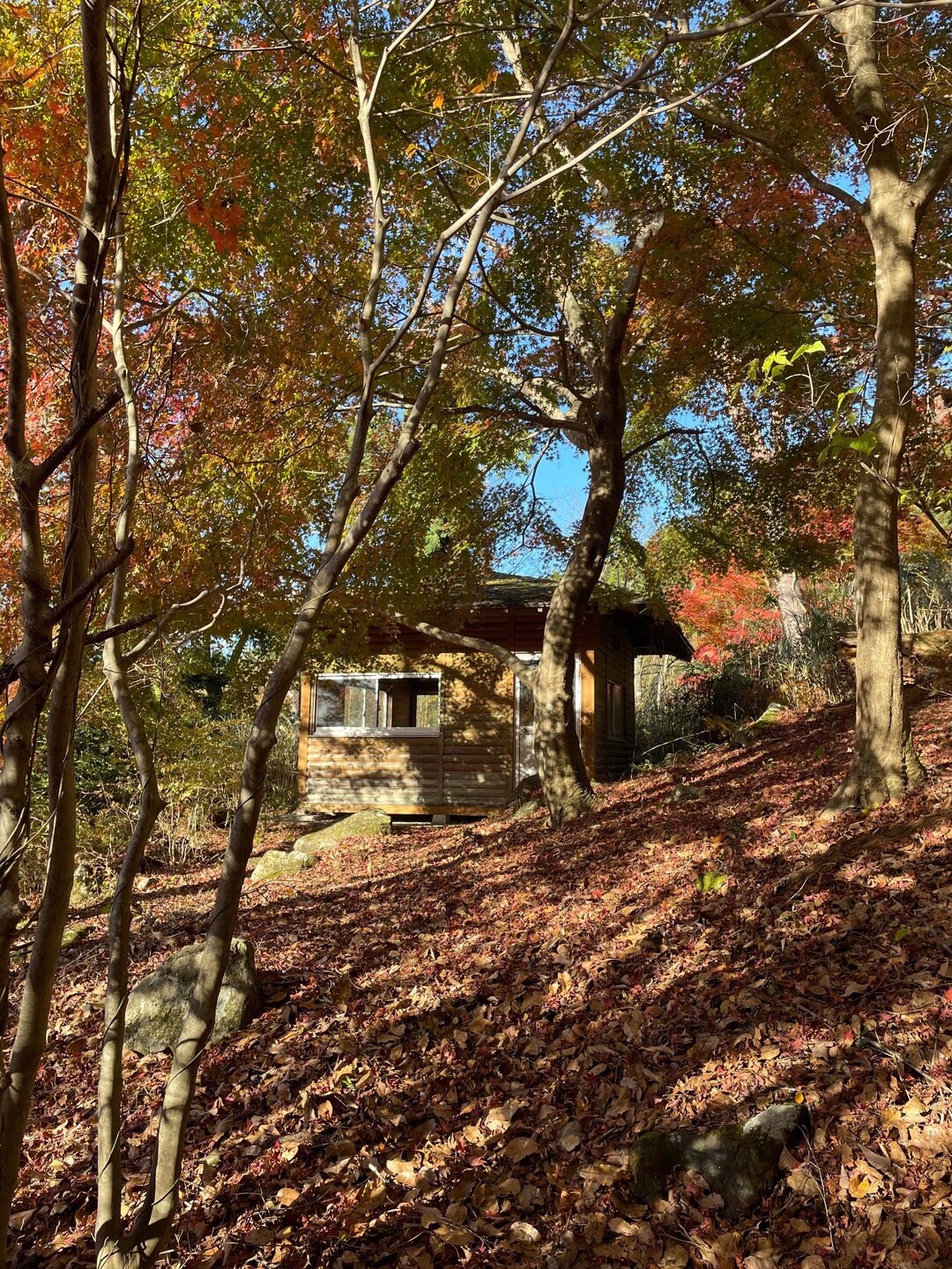 RIKU🐕‍🦺 &Jun さんの投稿したフィールドメモ | YAMAP / ヤマップ