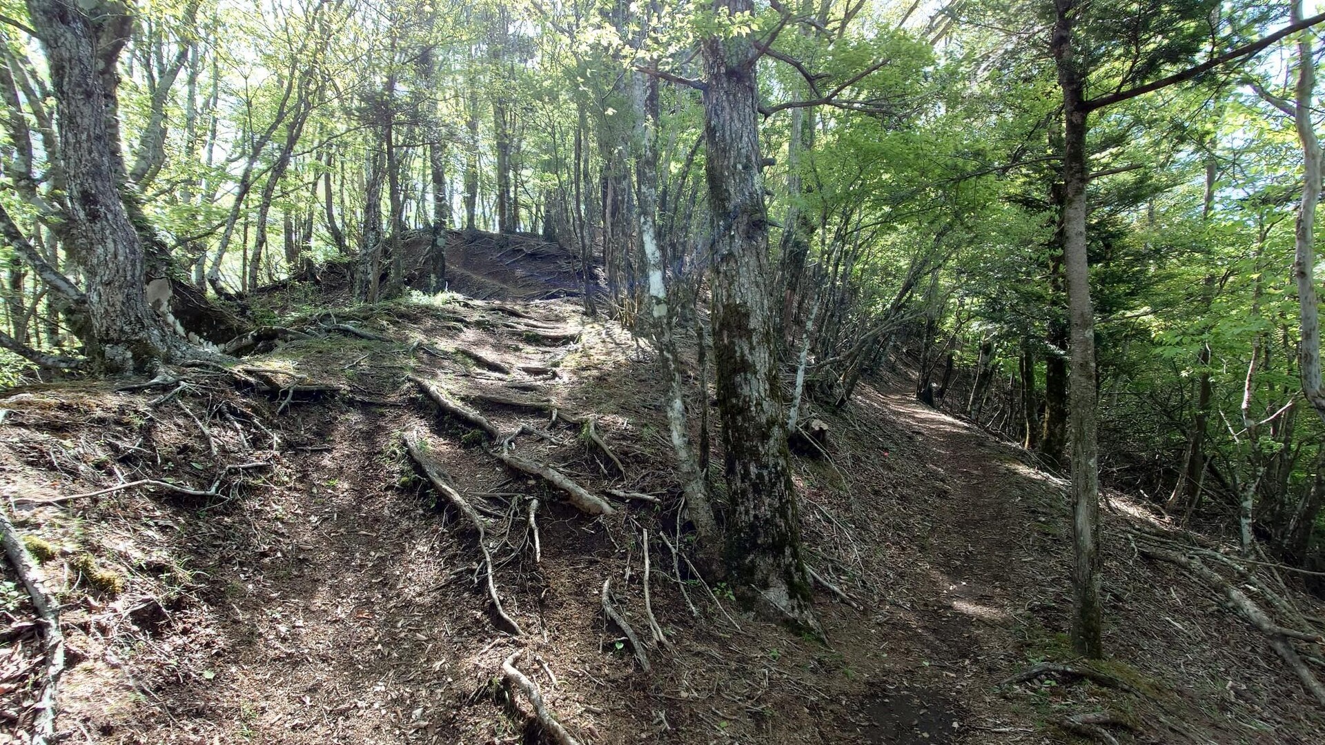 Paulさんの投稿したフィールドメモ | YAMAP / ヤマップ