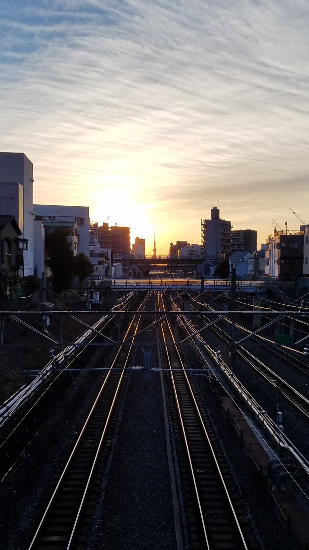 日の出と共に朝ラン🏃‍♀️ スカイツ... / なないろさんのモーメント | YAMAP / ヤマップ