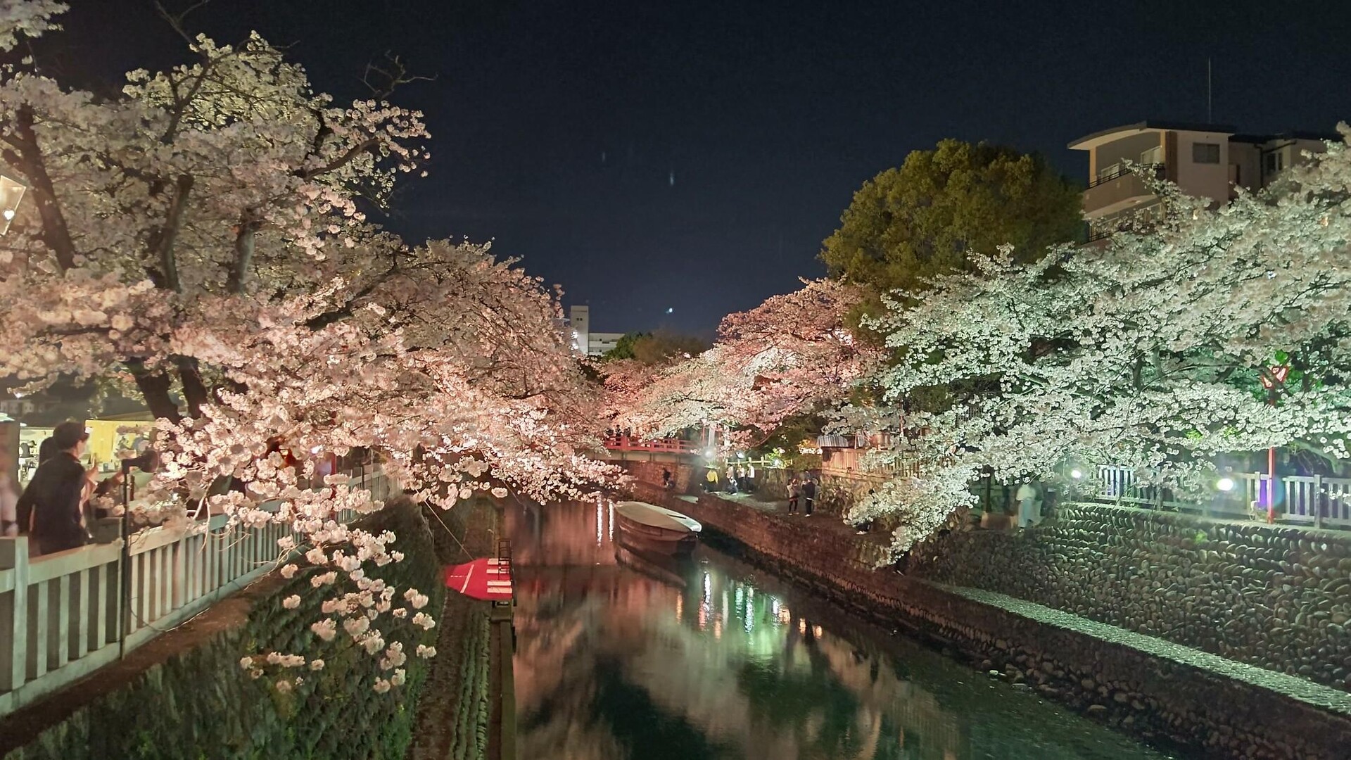 お昼にお裾分けした、大垣の奥の細道… ... / ypkunさんのモーメント | YAMAP / ヤマップ