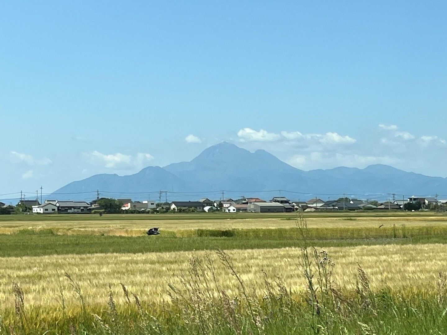 今週は熊本へ‼️ 時間が無く、くまモン ... / masakingさんのモーメント | YAMAP / ヤマップ