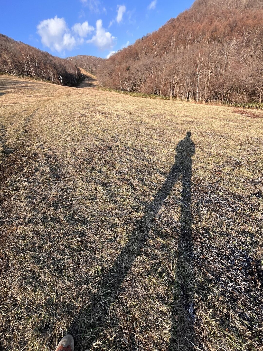 晴天のゴゴモイ / minotさんの藻岩山の活動データ | YAMAP / ヤマップ