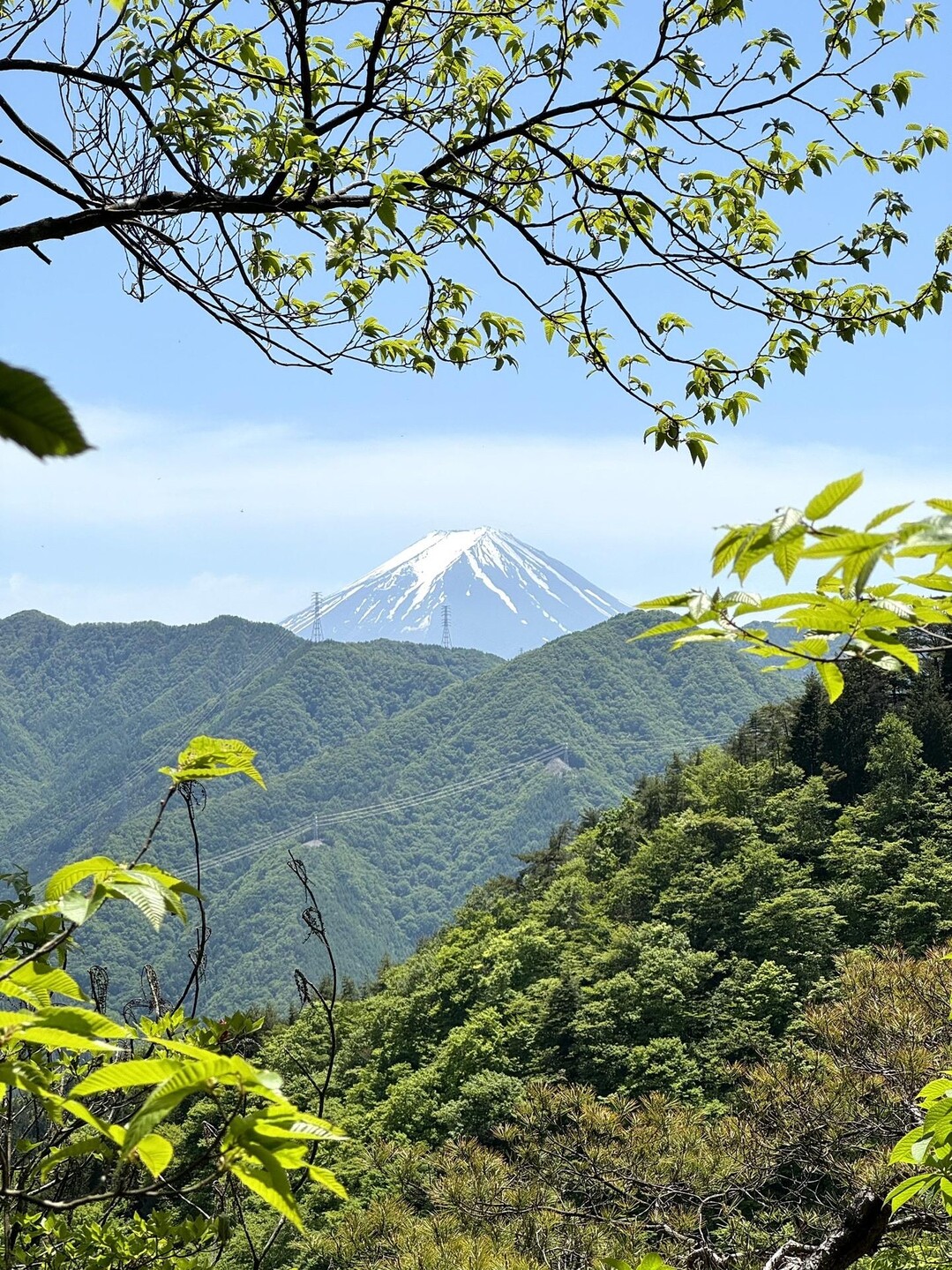 笹子雁ヶ腹摺山・米沢山・トクモリ・お坊山 / PJさんの滝子山・大谷ヶ丸・笹子雁ヶ腹摺山の活動データ | YAMAP / ヤマップ