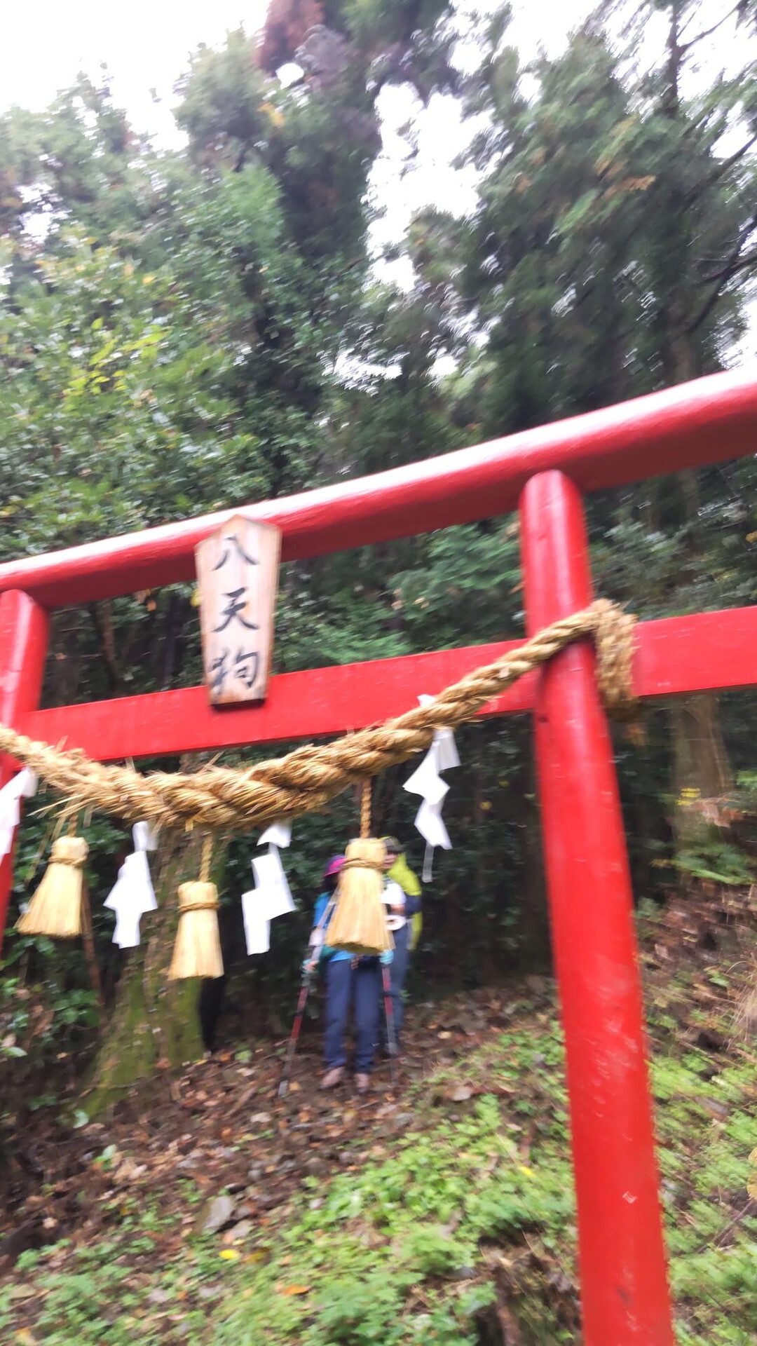 普賢岳・行仙岳・船石岳 ローングwalk🚶🚶🚶 / issaさんの矢上普賢岳・行仙岳の活動データ | YAMAP / ヤマップ