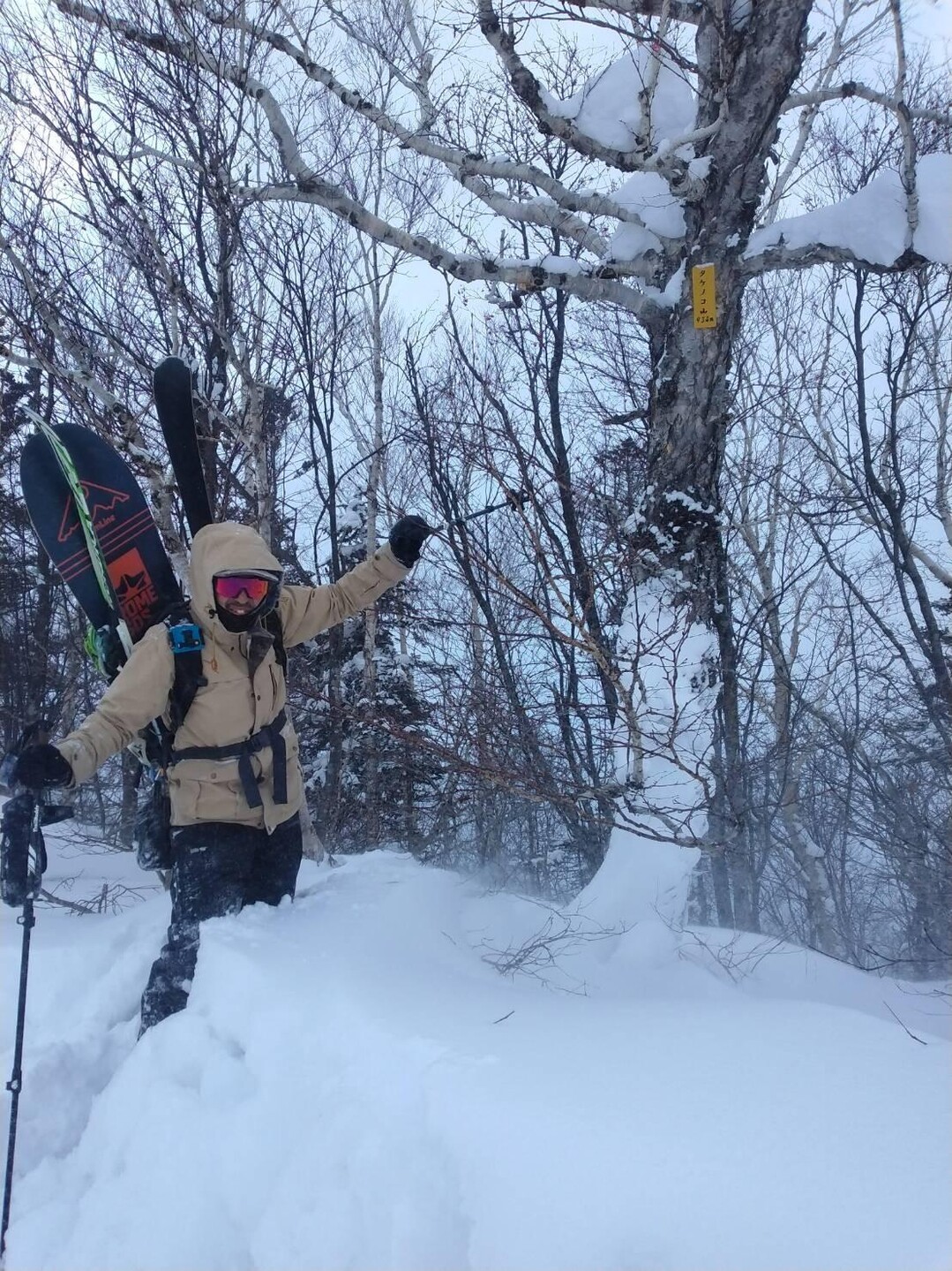 ラッコさんとタケノコ山BCデート / TARIさんの余市岳・定山渓天狗岳の活動データ | YAMAP / ヤマップ