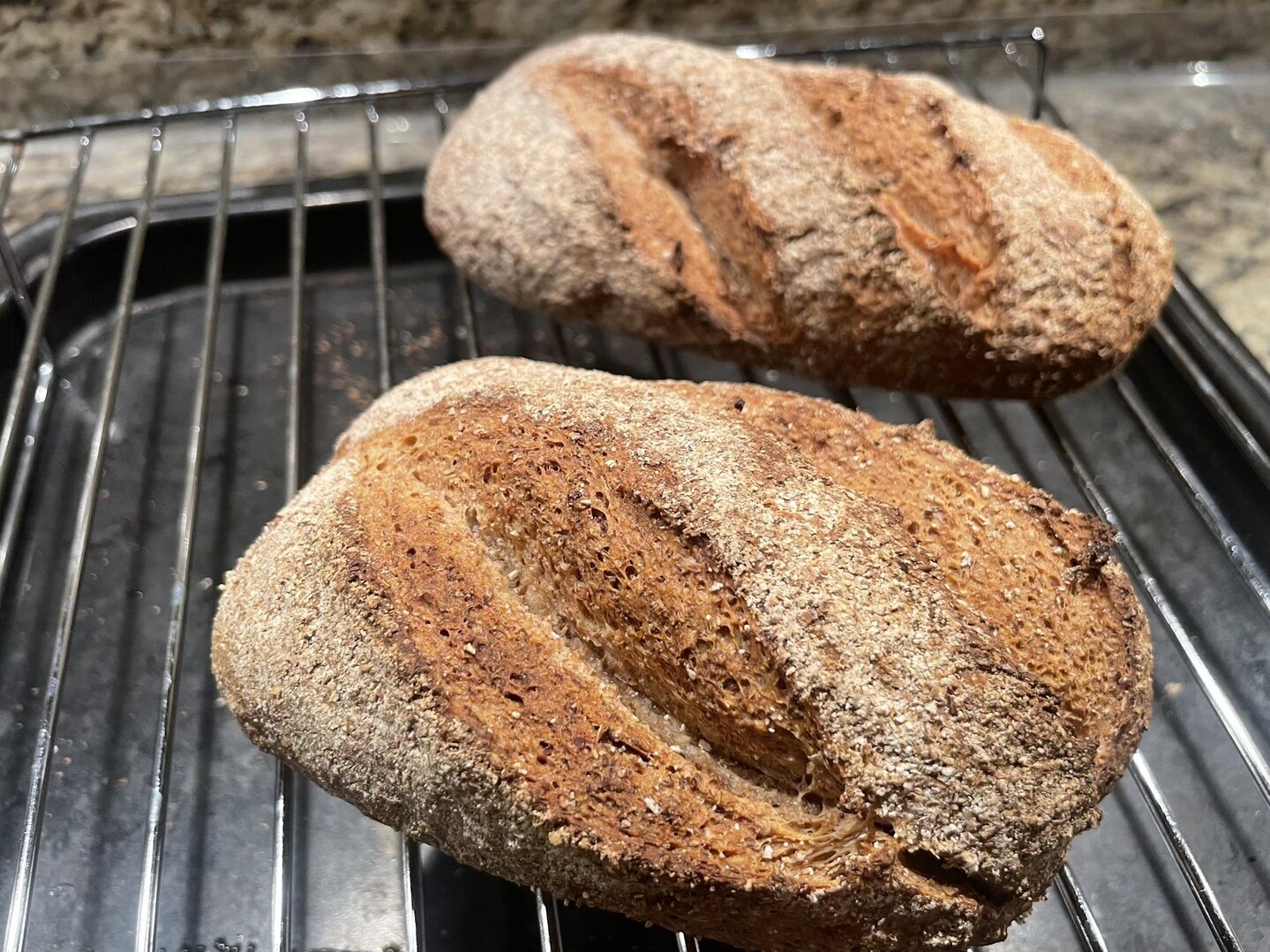 とある日の街の公園 ライ麦50%長時間... / SORAさんのモーメント | YAMAP / ヤマップ