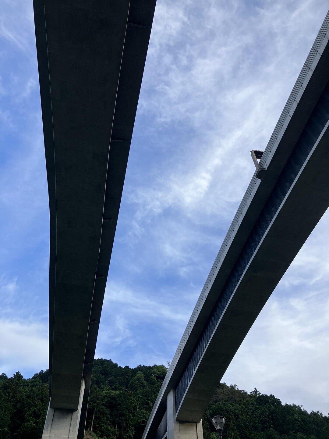 北高尾山域20k / 高尾人さんの高尾山・陣馬山・景信山の活動データ | YAMAP / ヤマップ