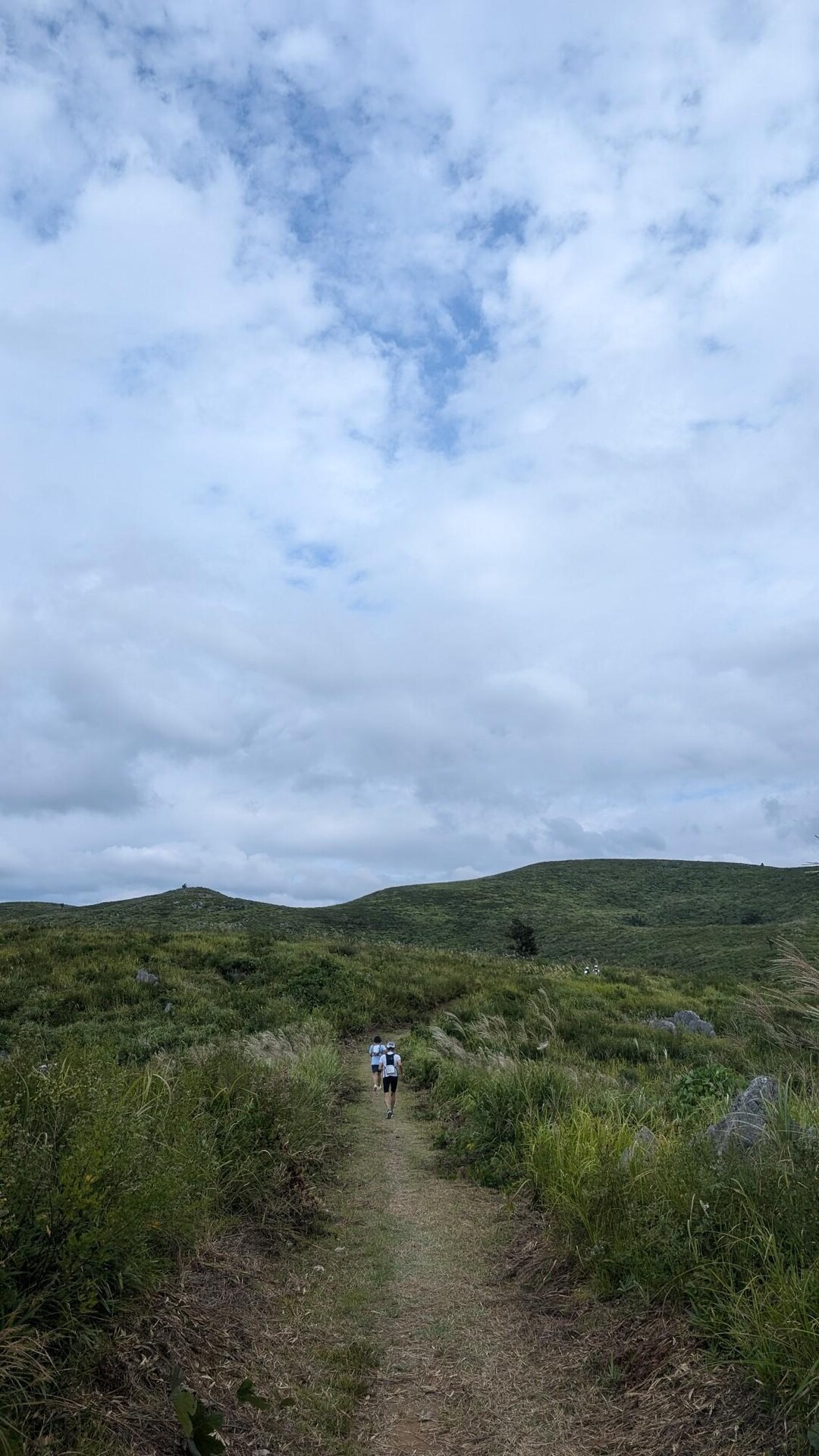 Mine 秋吉台ジオパークウルトラマラソン48キロ / スカリンのお供さんのランニングの活動データ | YAMAP / ヤマップ