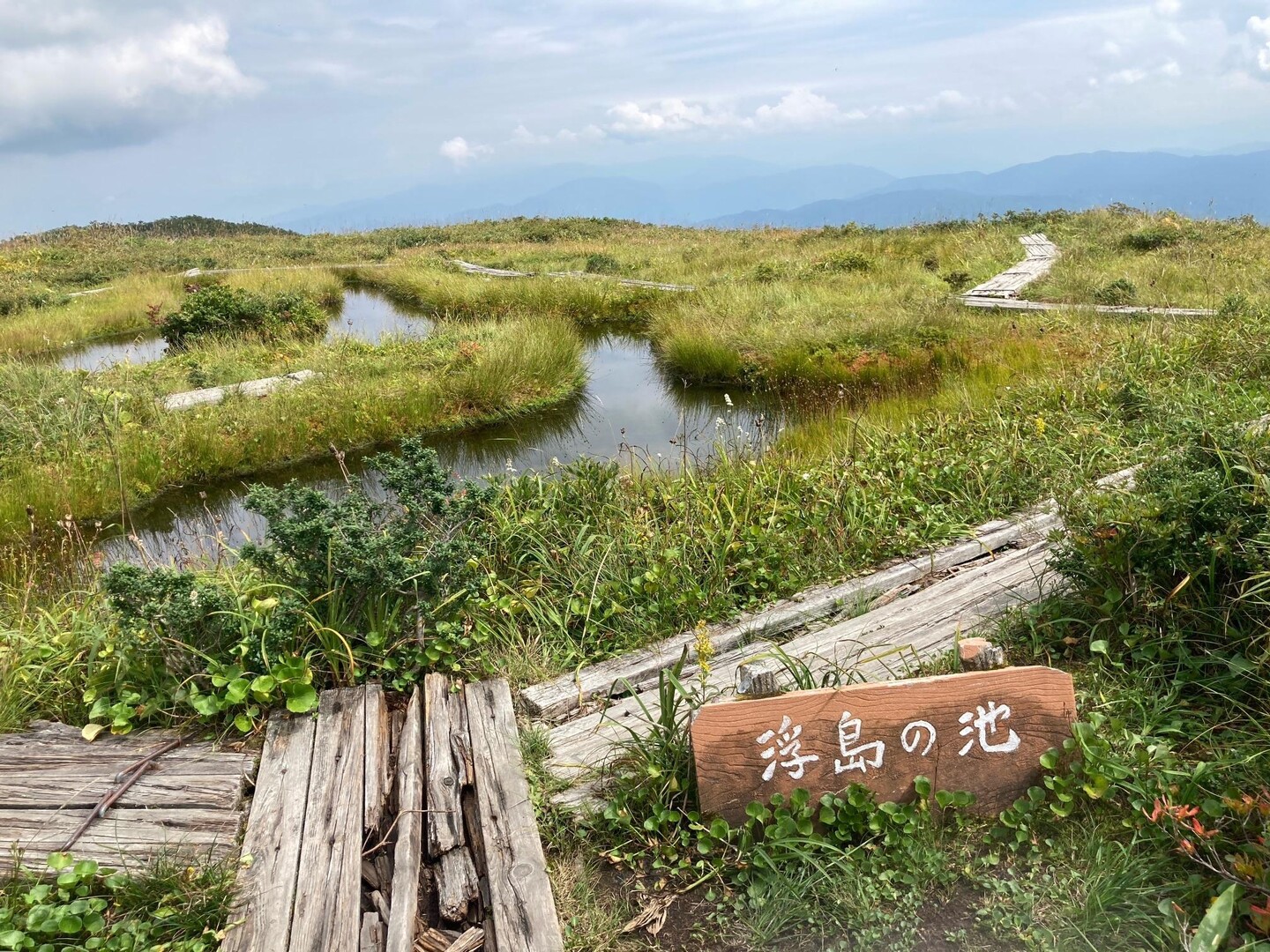 白木峰・北白木峰 / akさんの白木峰・小白木峰の活動日記 | YAMAP / ヤマップ