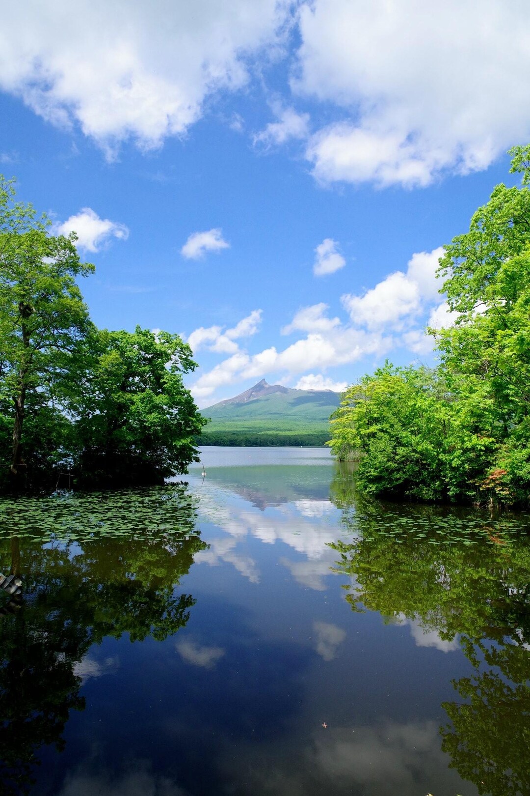 爆走！北海道駒ヶ岳 / pockyさんの北海道駒ヶ岳（蝦夷駒ヶ岳・渡島駒ヶ岳）の活動データ | YAMAP / ヤマップ