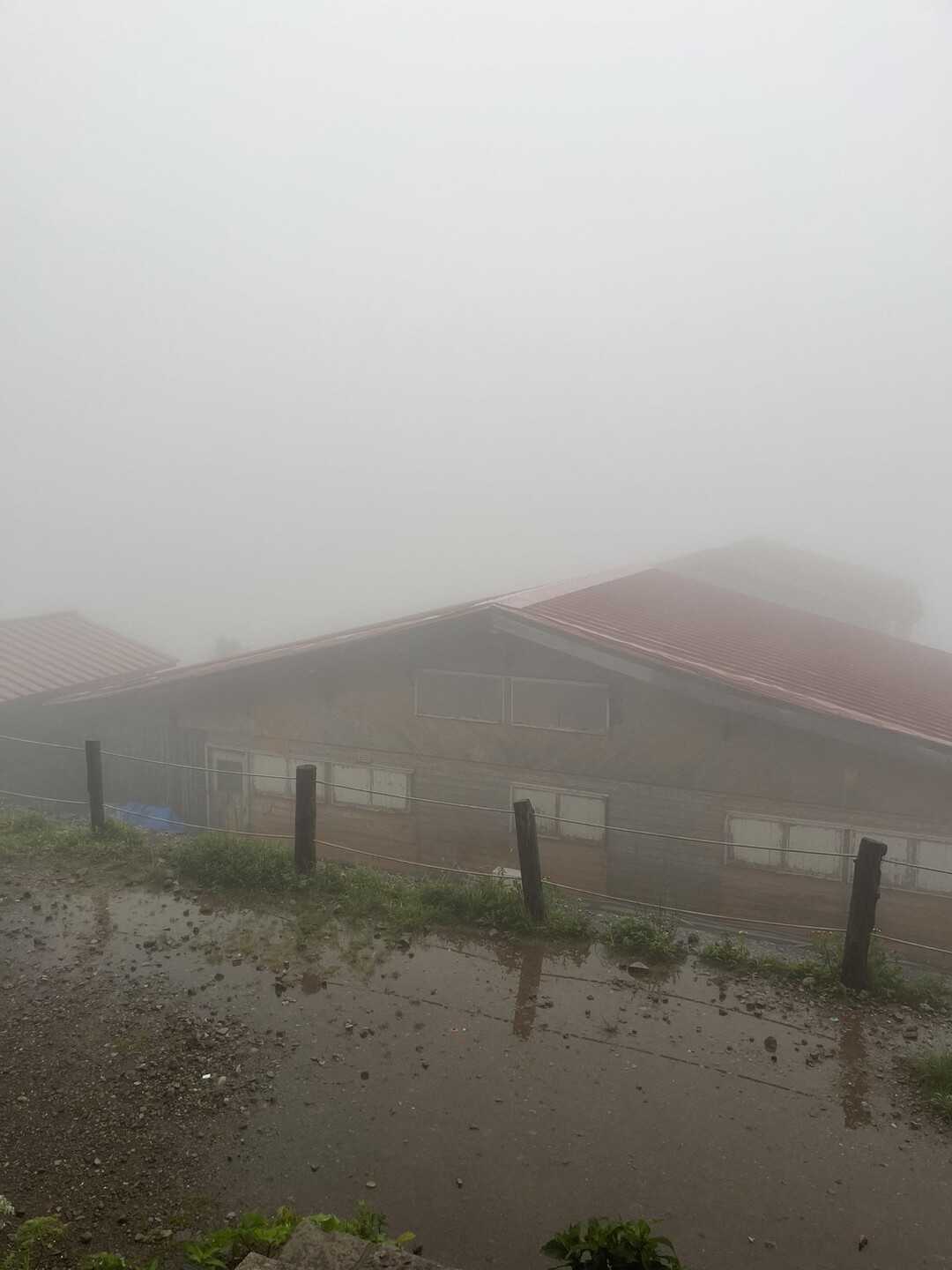 白山2日目…夜中は雷雨⚡️ 目覚めたらま... / yuzuさんのモーメント | YAMAP / ヤマップ