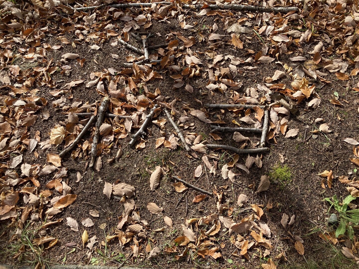 復活の狼煙は御大師山から / Virinさんの馬追丘陵・長官山・瀞台（馬追山）の活動データ | YAMAP / ヤマップ