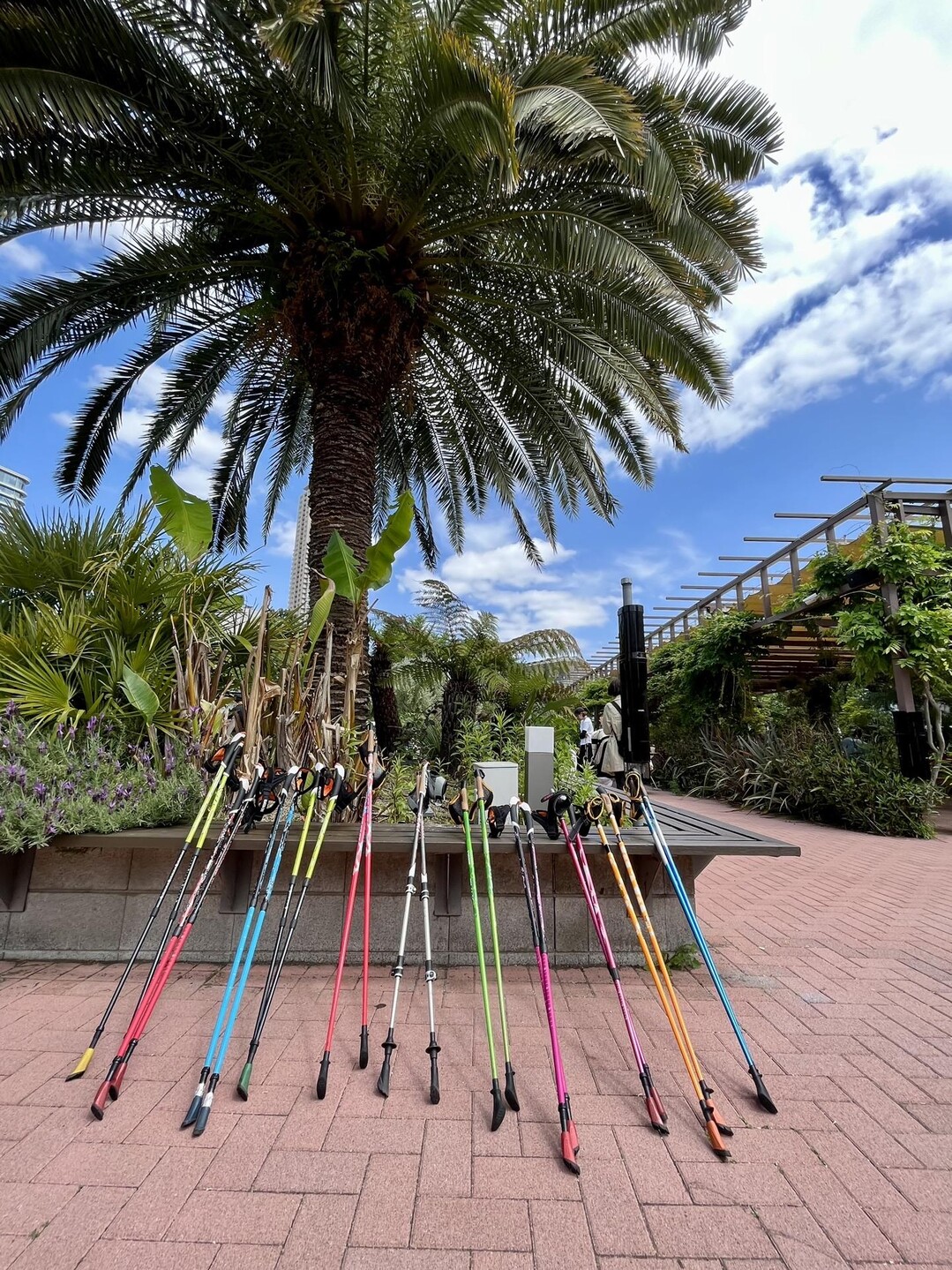 ノルディックウォーキング 東京8km / Chieさんのウォーキングの活動データ | YAMAP / ヤマップ