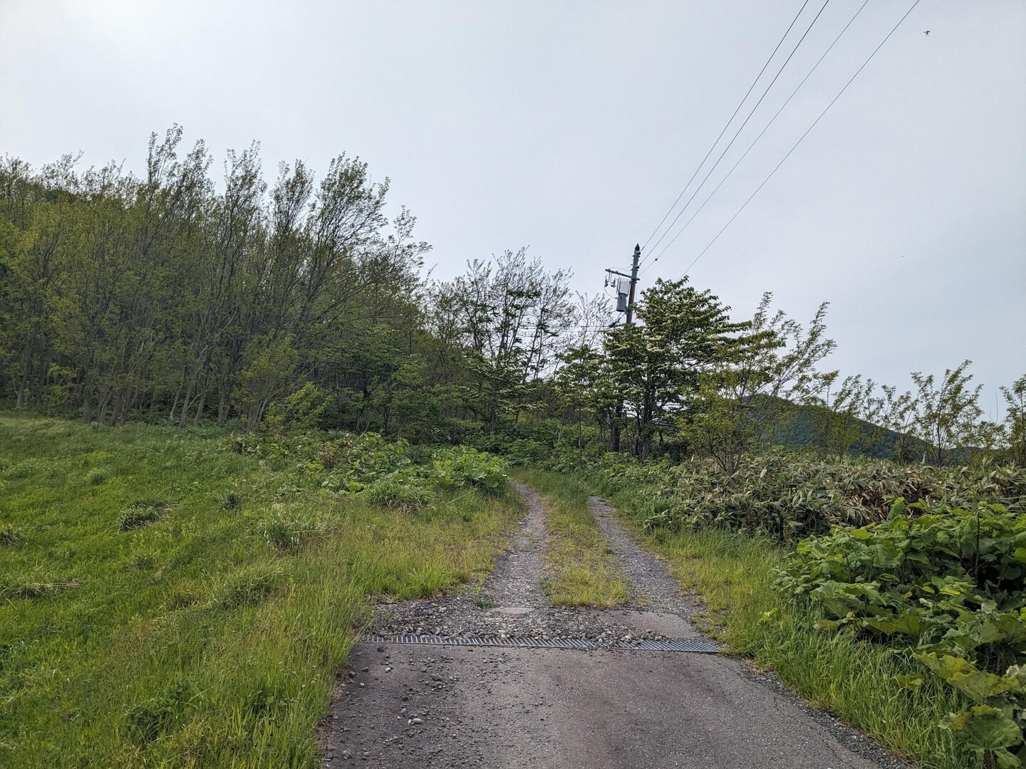 天狗鼻 / こちやまさんの三角山の活動データ | YAMAP / ヤマップ