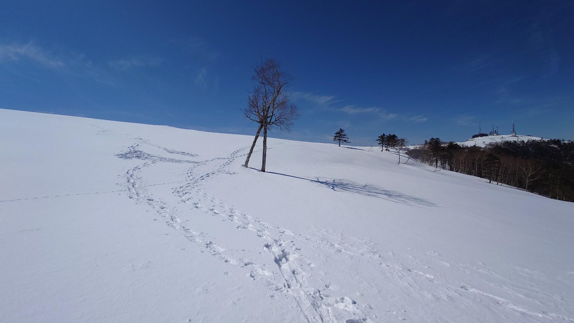 牛伏山・鹿伏山・美ヶ原（王ヶ頭） / tutuさんの美ヶ原の活動データ | YAMAP / ヤマップ