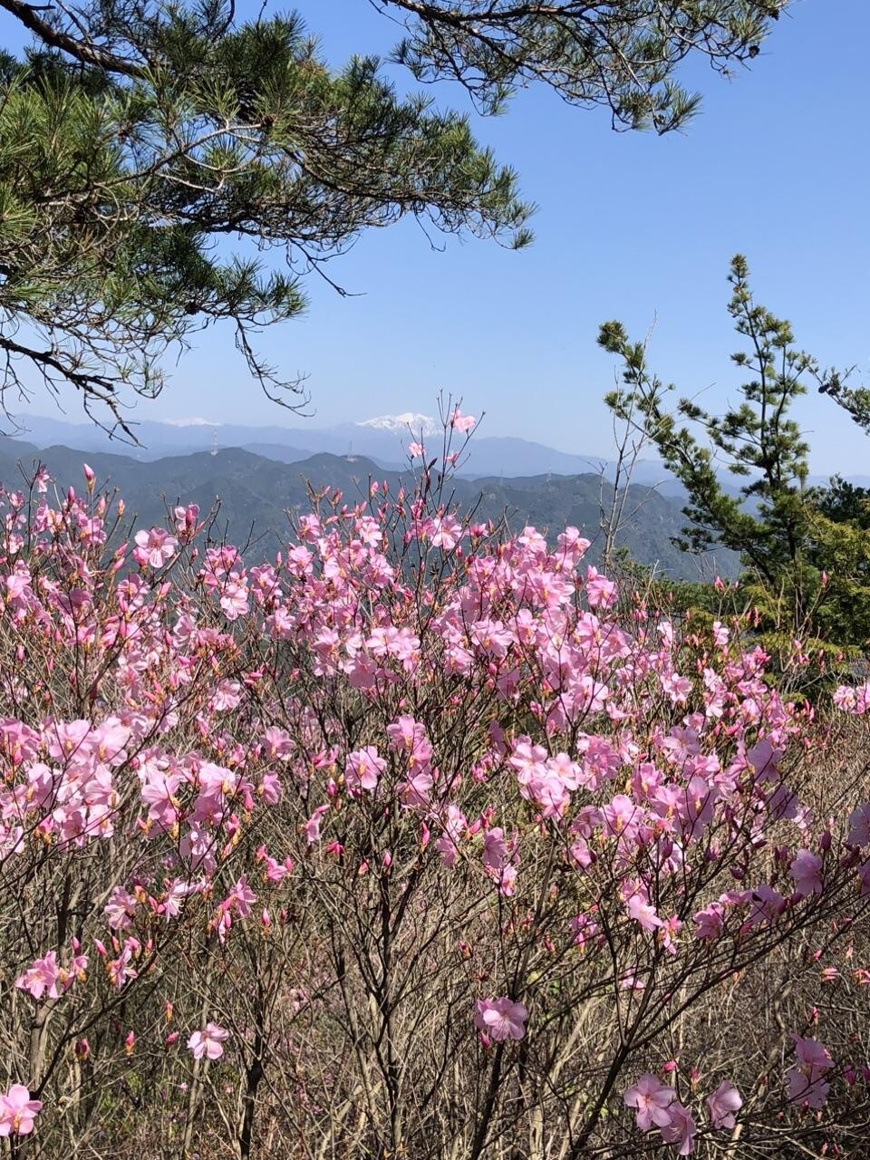 minのページ | YAMAP / ヤマップ