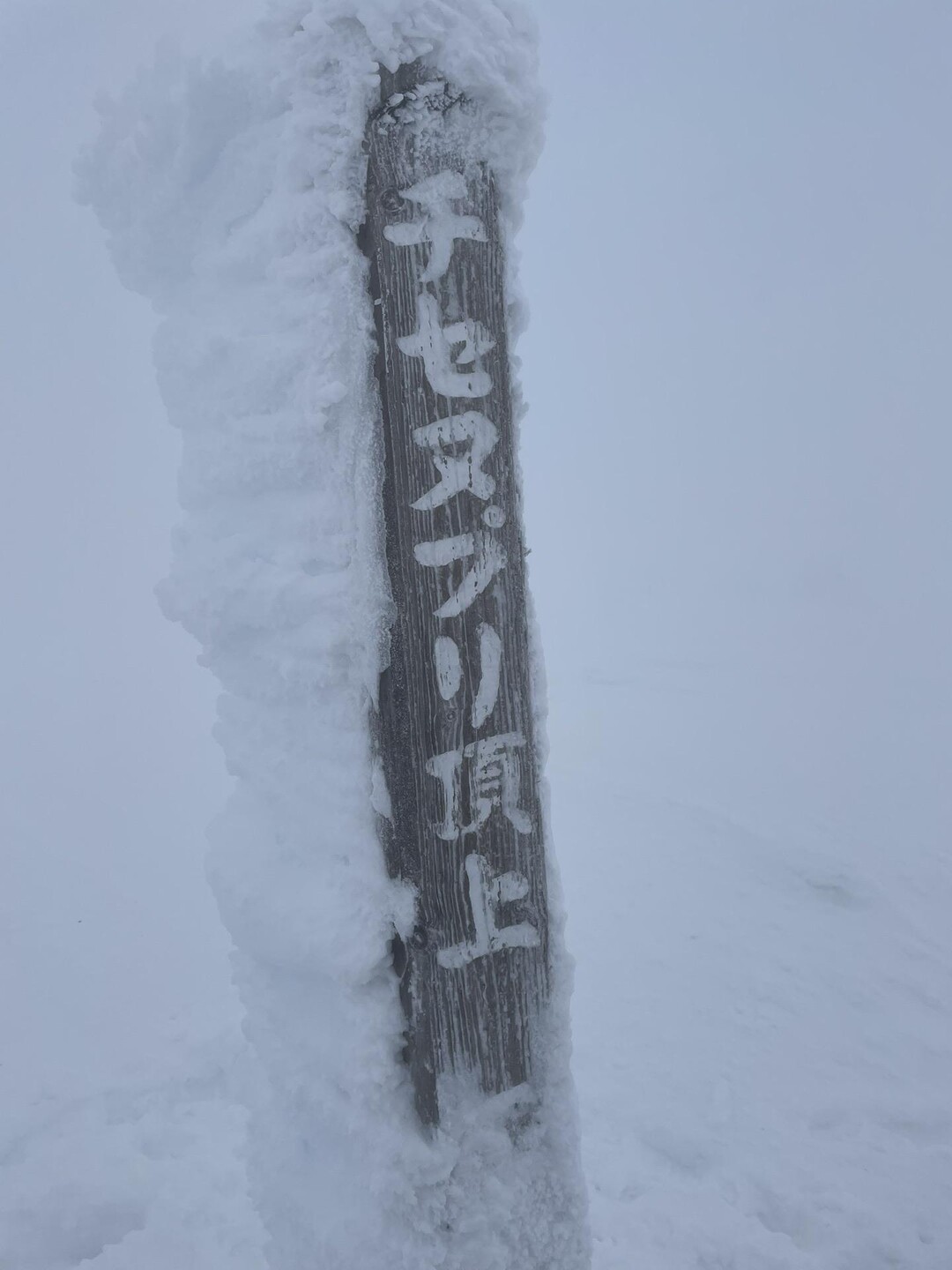 832m峰・チセヌプリ / りょうたさんのニセコアンヌプリ・イワオヌプリ・チセヌプリの活動データ | YAMAP / ヤマップ